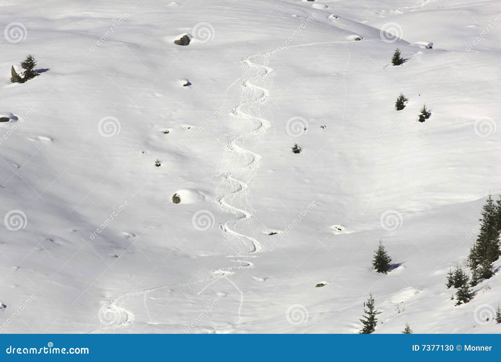 Ski tracks in the snow stock photo. Image of outdoors - 7377130