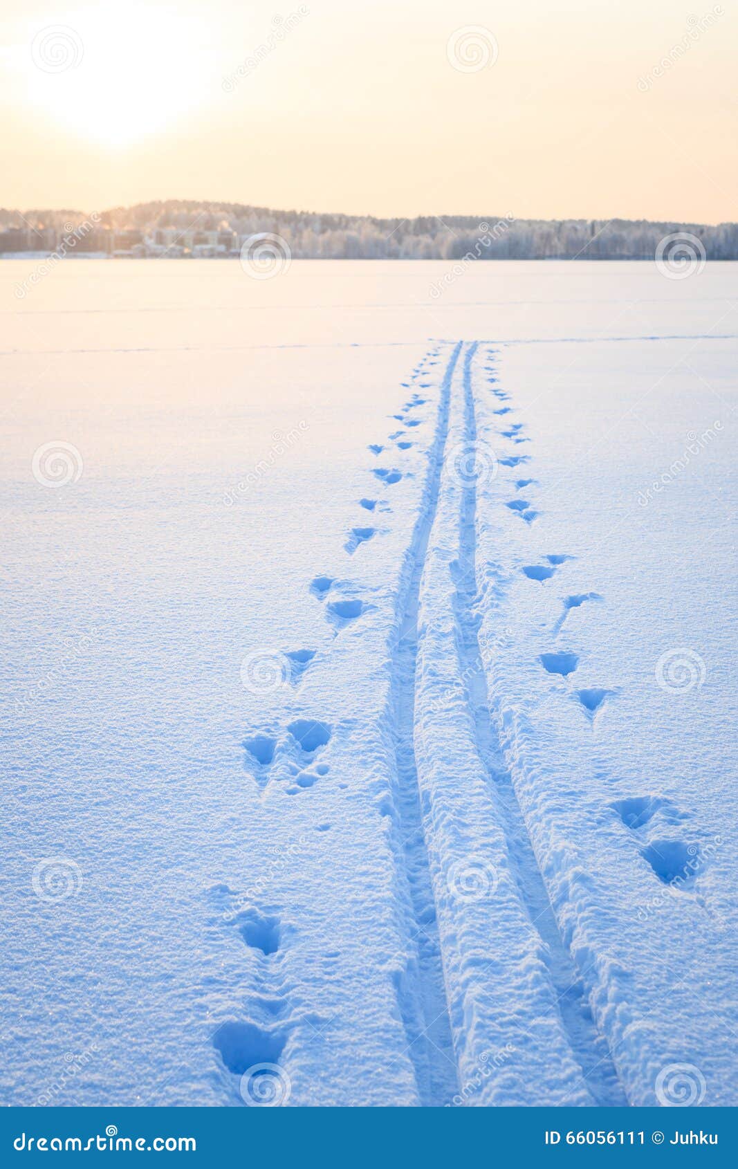 Ski tracks snow lake stock image. Image of lake, cross - 66056111