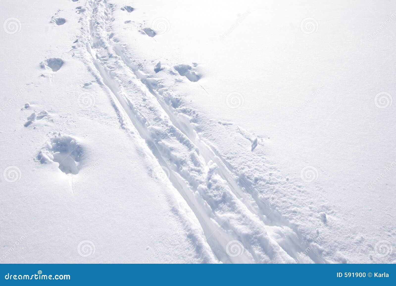Ski Tracks with Space for Copy Stock Photo - Image of country, tracks ...