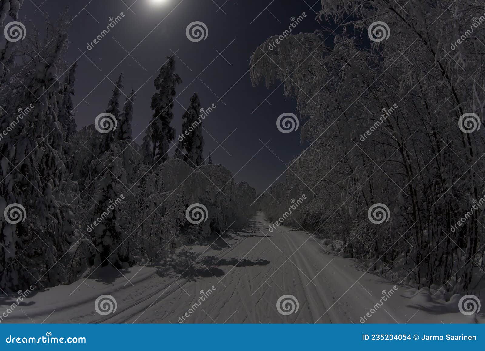 Ski Trail in the Moonlight at Night Stock Photo - Image of nature ...