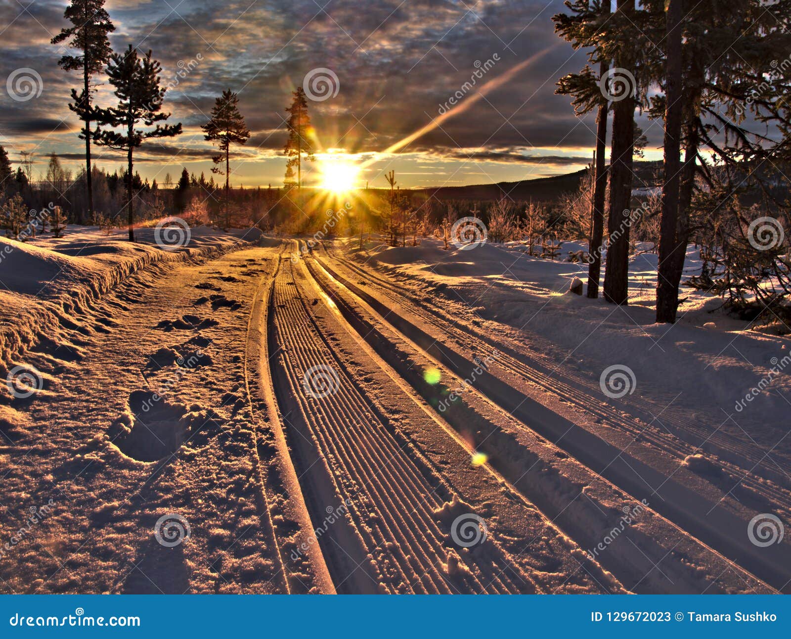 Ski trails with sun beams stock image. Image of frost - 129672023