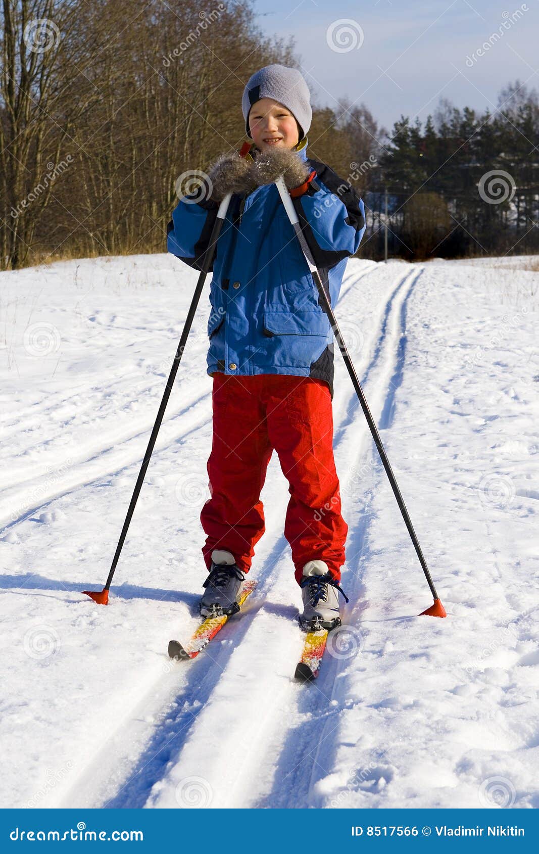 Ski walk stock photo. Image of seasonal, cold, winter - 8517566