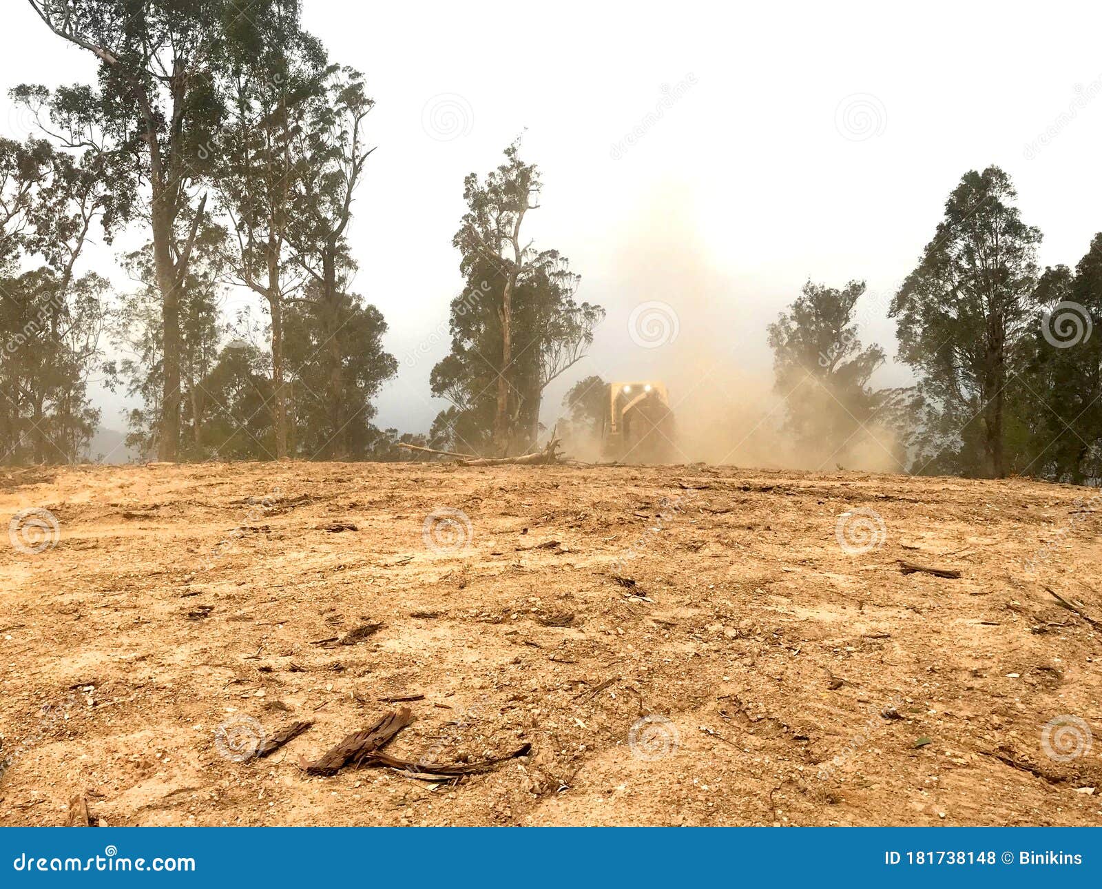 Fire Break Glass Stock Image | CartoonDealer.com #49493737