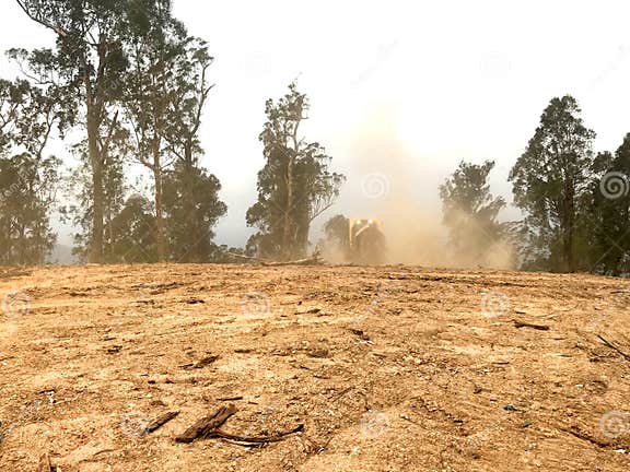 Skidder Creating a Fire Break Stock Photo - Image of break, coast ...