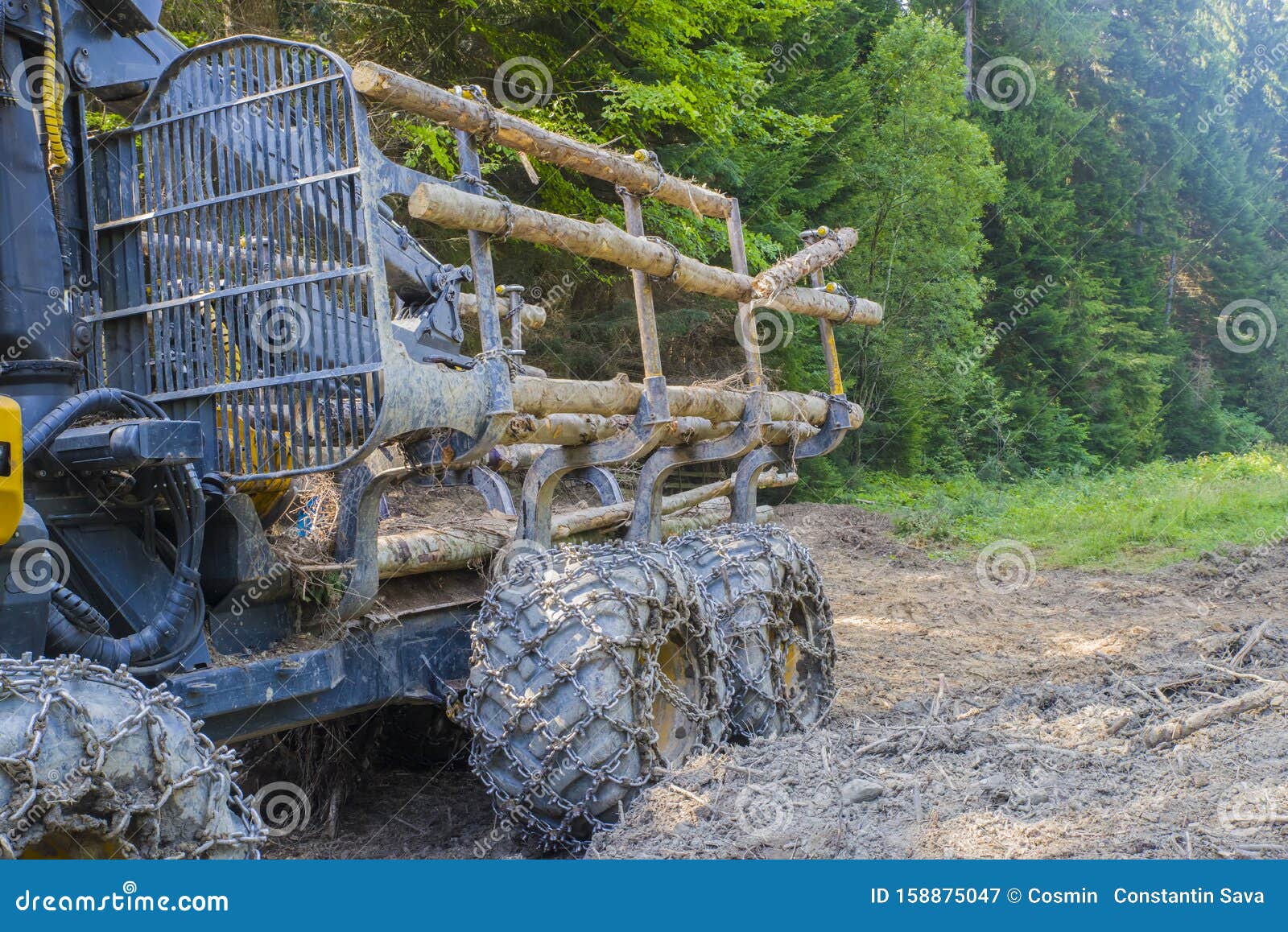 Skidder Machine in the Forest Stock Image - Image of safe, industry ...