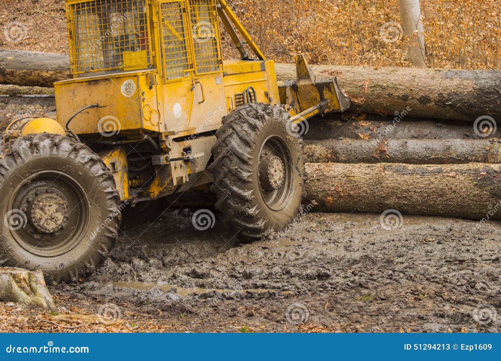Skidder stock image. Image of forestry, work, wheels - 51294213