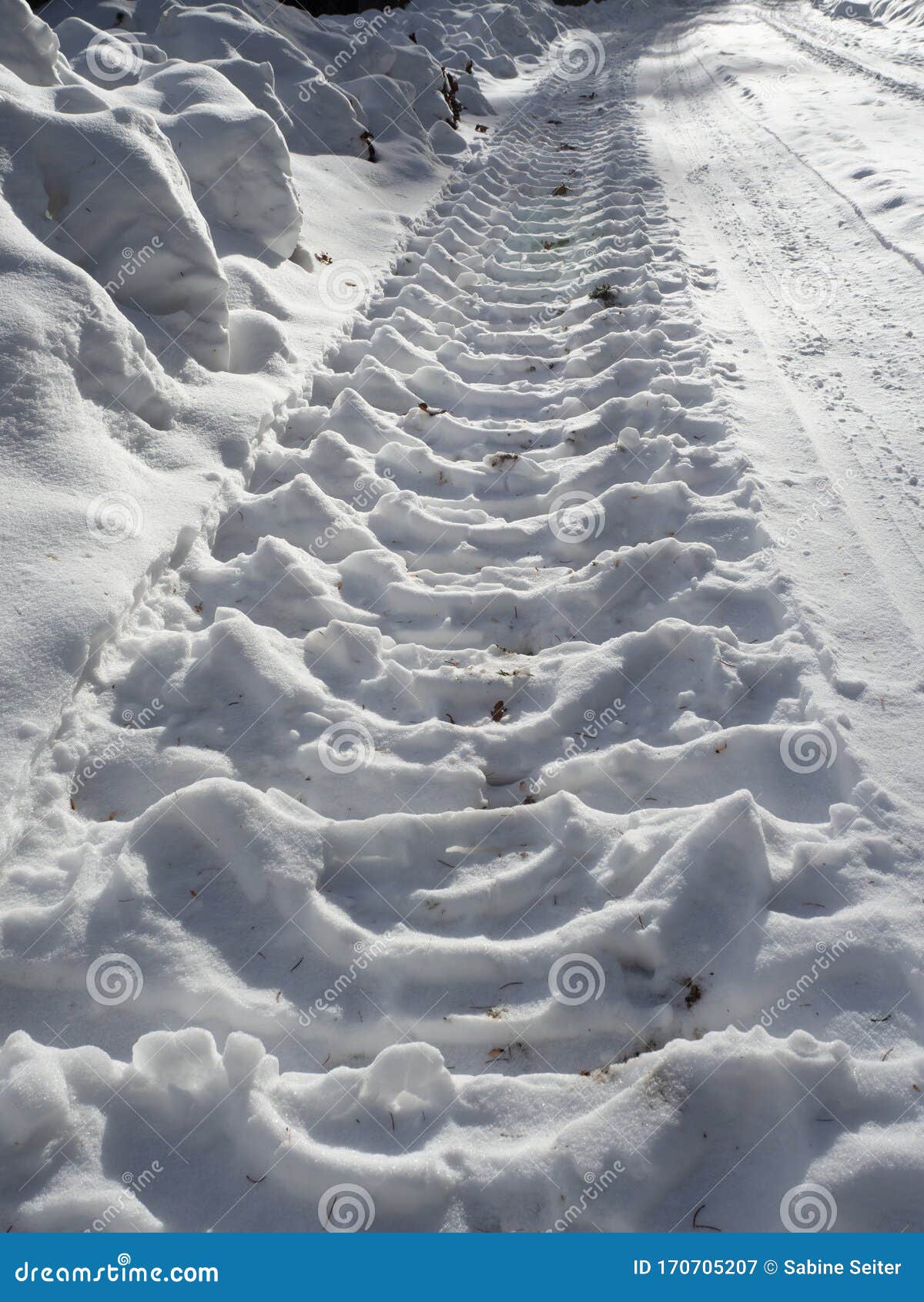 Skidmark in Snow with Sunlight Stock Image - Image of outdoors, beauty ...