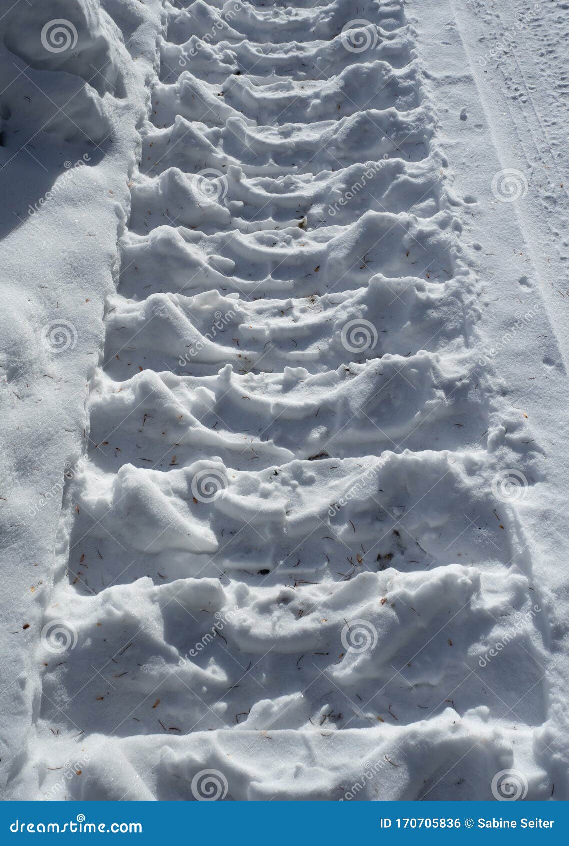 Skidmark in Snow with Sunlight Stock Photo - Image of marks, frost ...