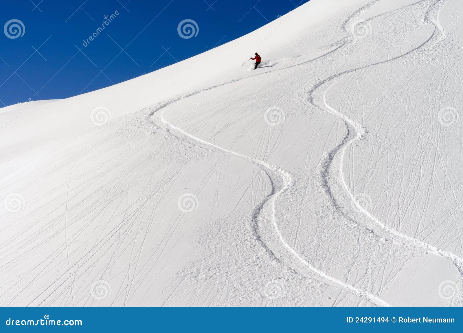 Skier in the Deep Powder Snow Stock Photo - Image of cover, powdern ...