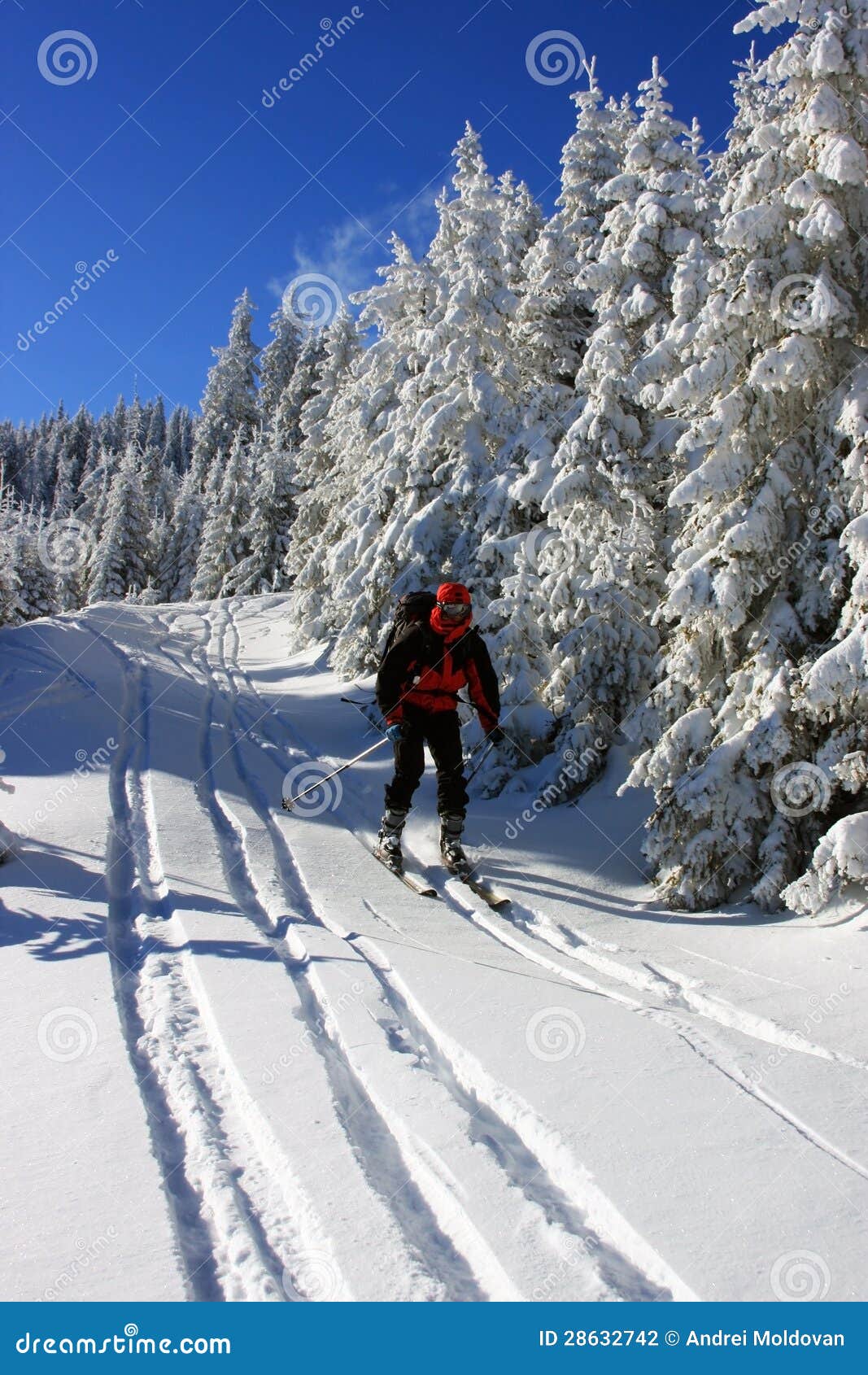 Skier Descending from the Mountain Stock Photo - Image of powder ...