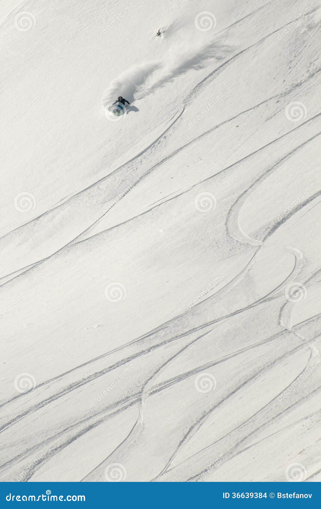 Skier in Fresh Powder Snow. Stock Photo - Image of backcountry, action ...