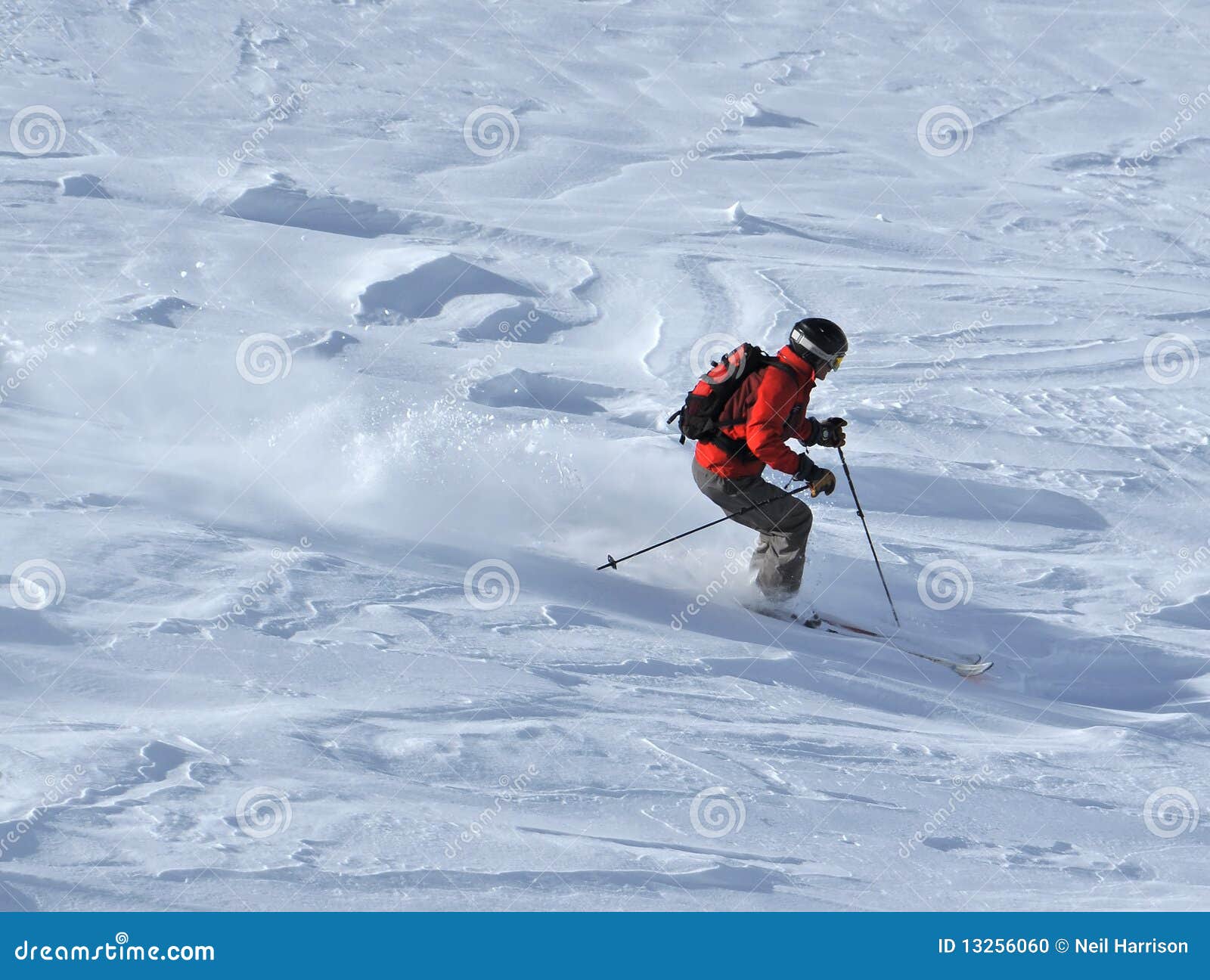 Skier in powder snow stock photo. Image of passtime, activity - 13256060