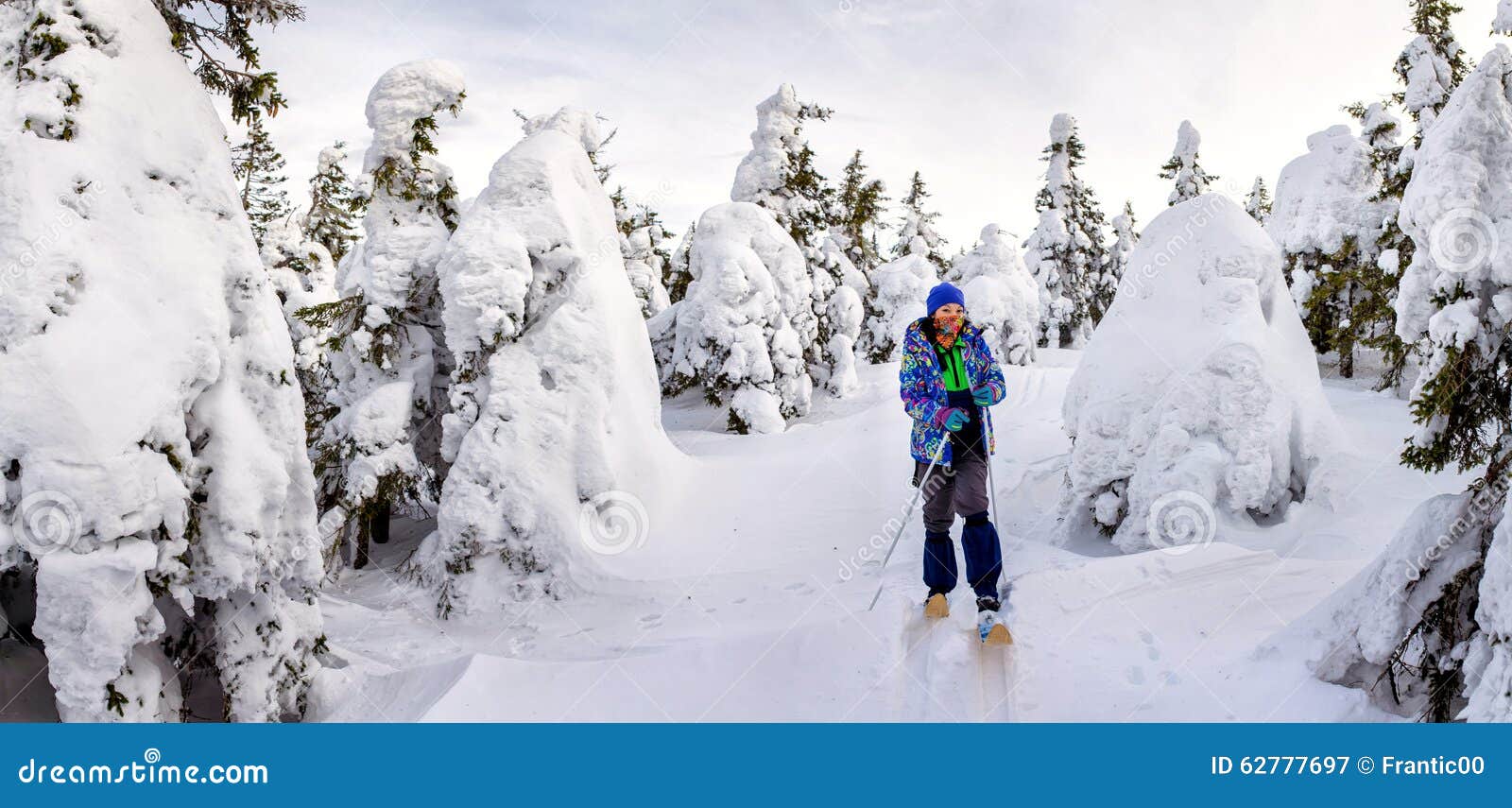 Skier in snowy forest stock image. Image of nature, outside - 62777697