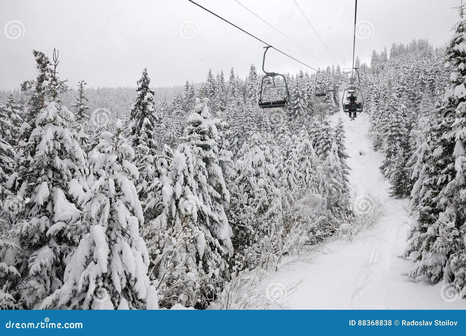 Slowy Day Stock Photos - Free & Royalty-Free Stock Photos from Dreamstime