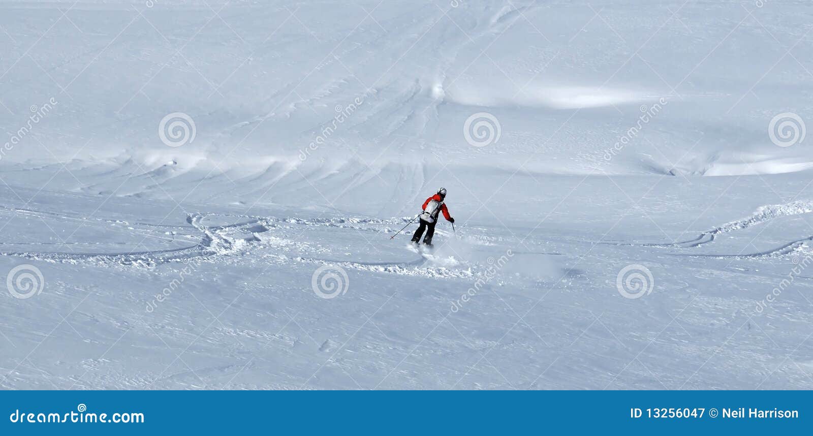 Skiing in powder snow stock image. Image of sporting - 13256047