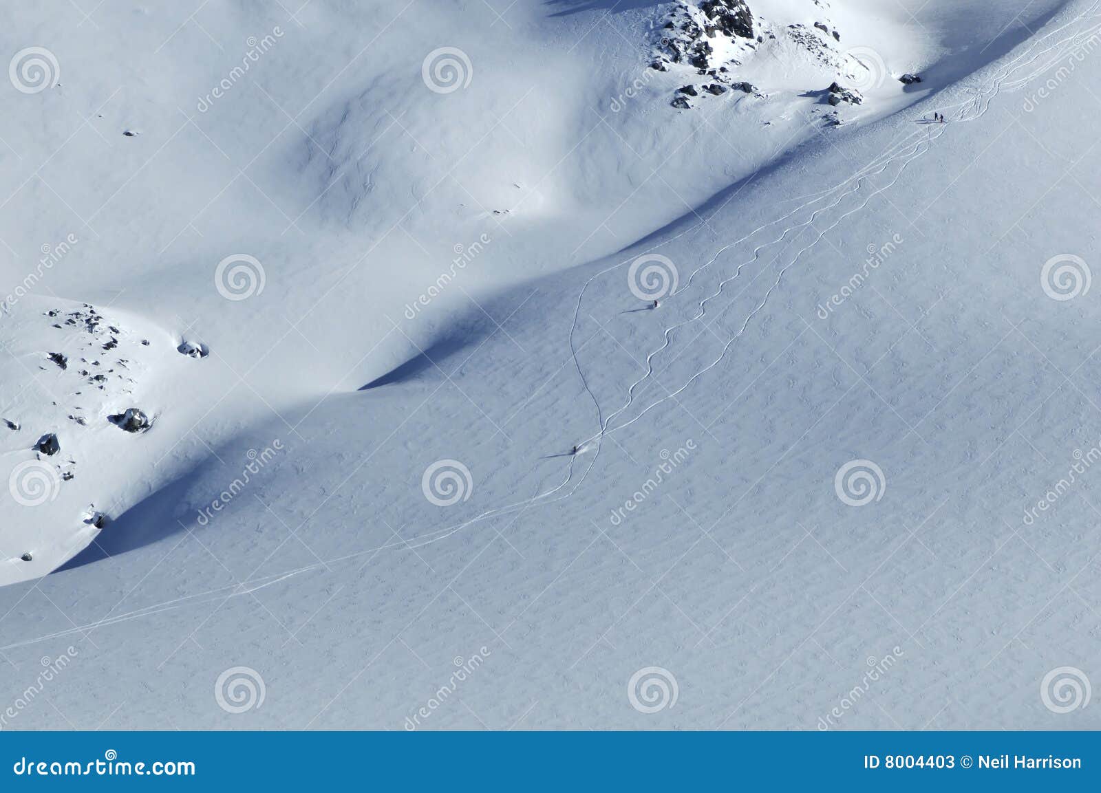 Skiing in the powder snow stock image. Image of landscapes - 8004403
