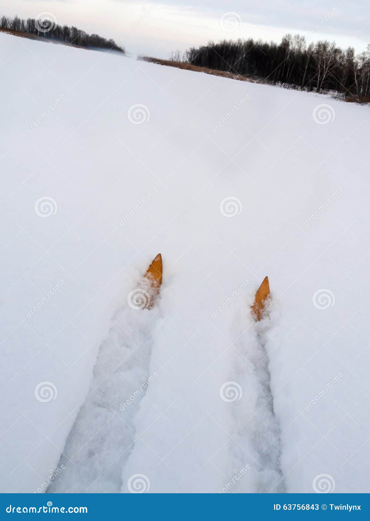 Skiing in powder snow. stock image. Image of concepts - 63756843