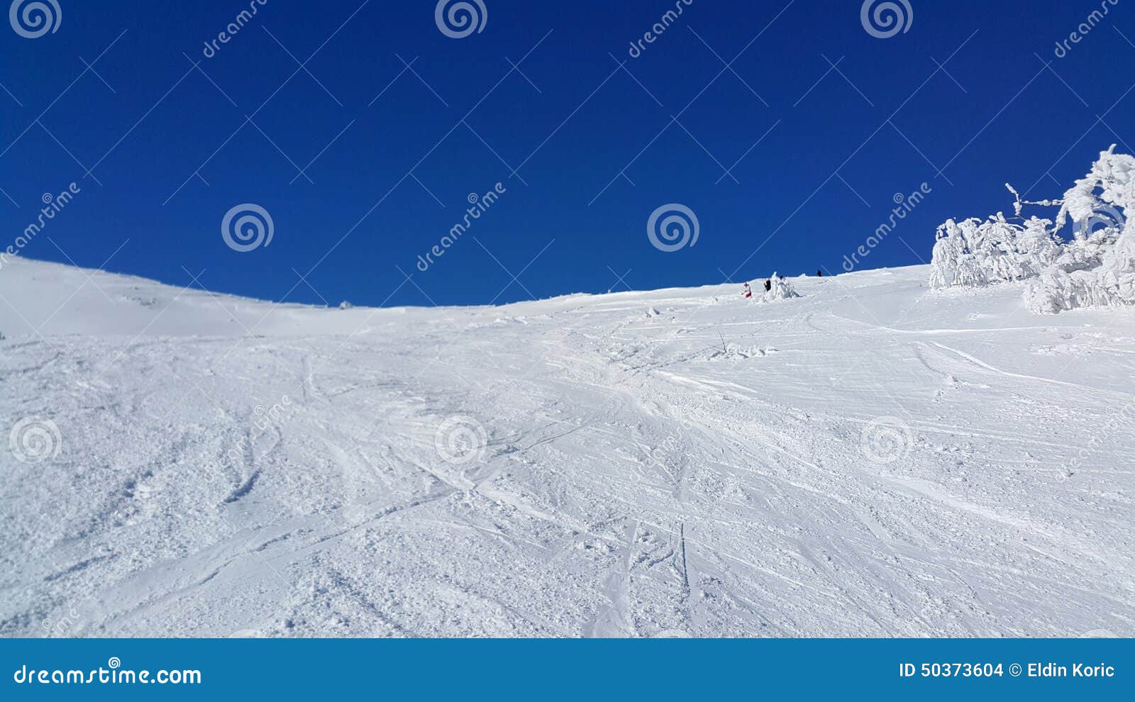 Skiing scene stock photo. Image of people, alps, calm - 50373604