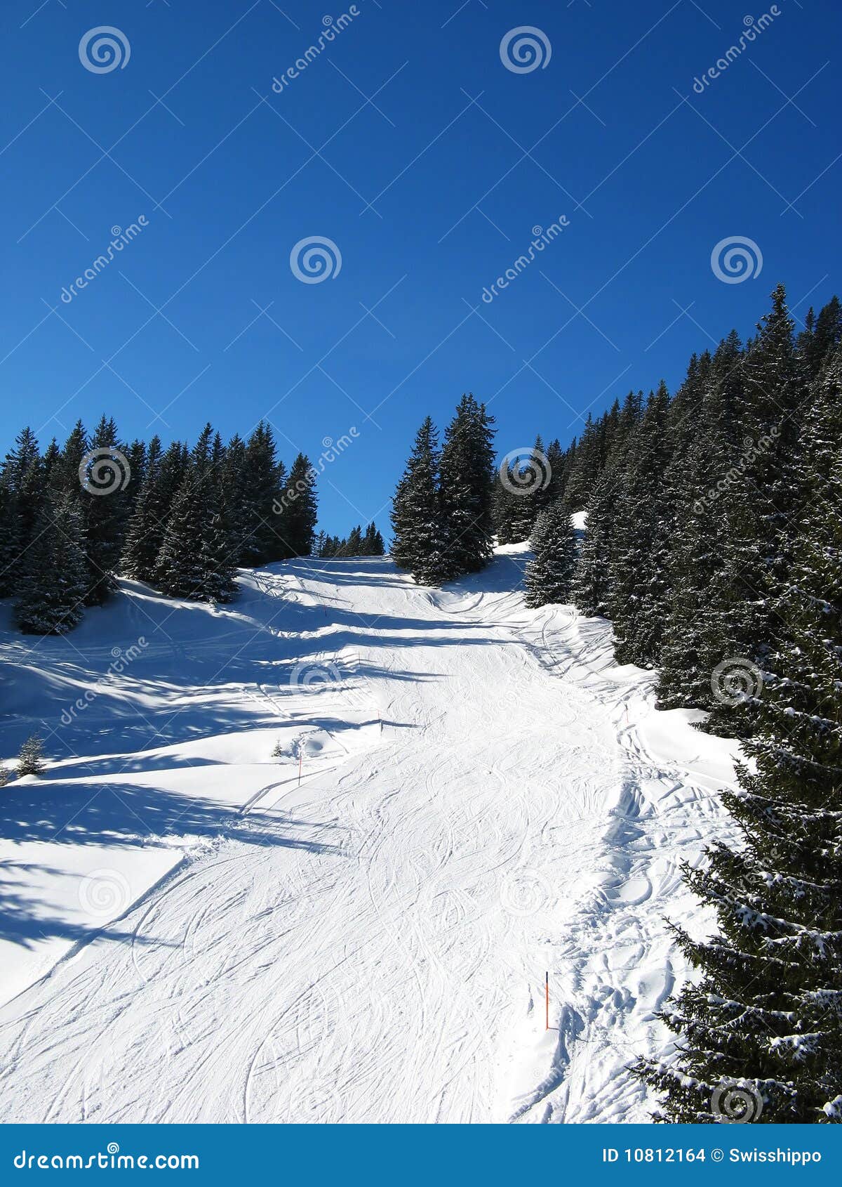 Skiing slope stock photo. Image of mountain, leisure - 10812164