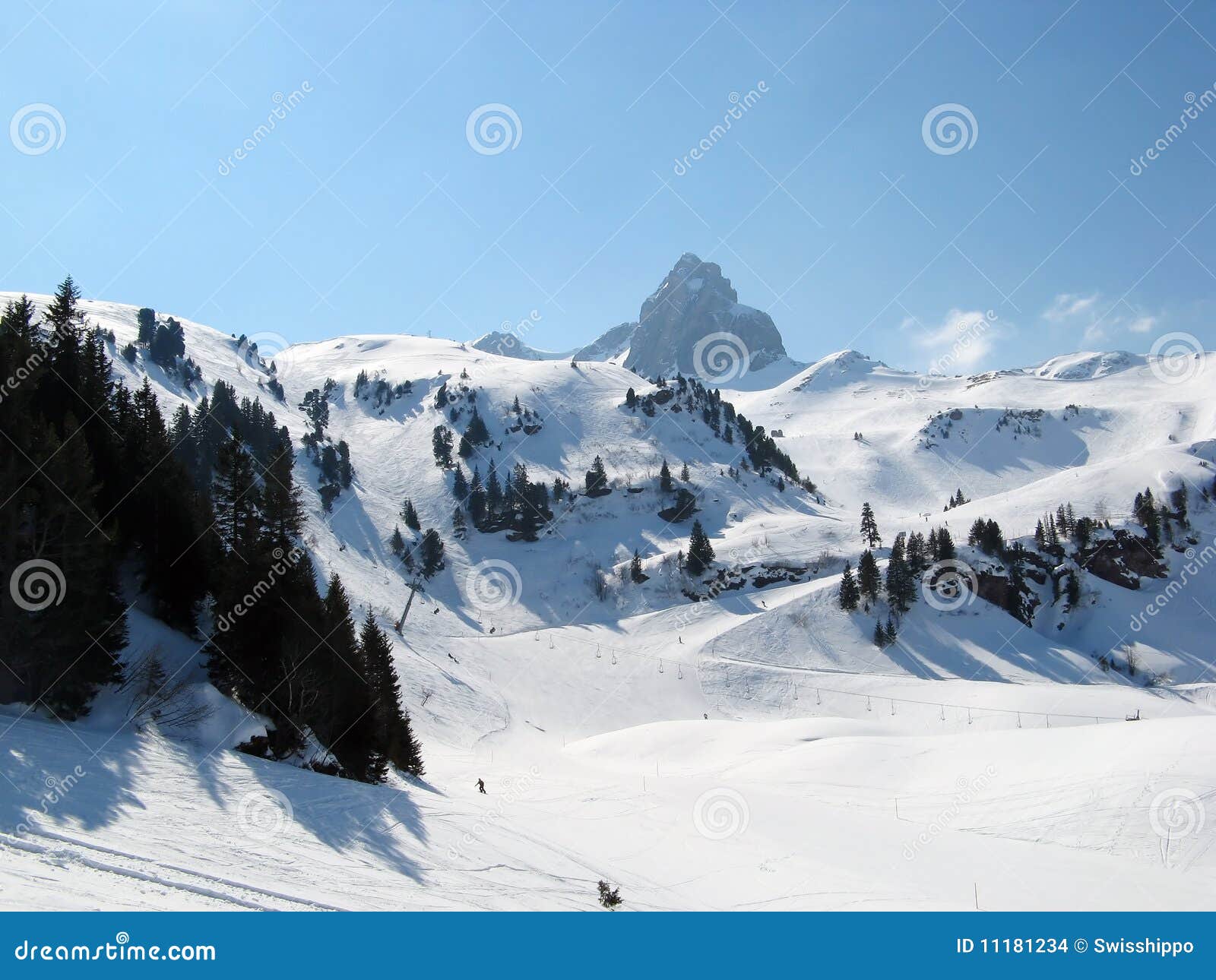 Skiing slope stock photo. Image of outside, leisure, alpine - 11181234