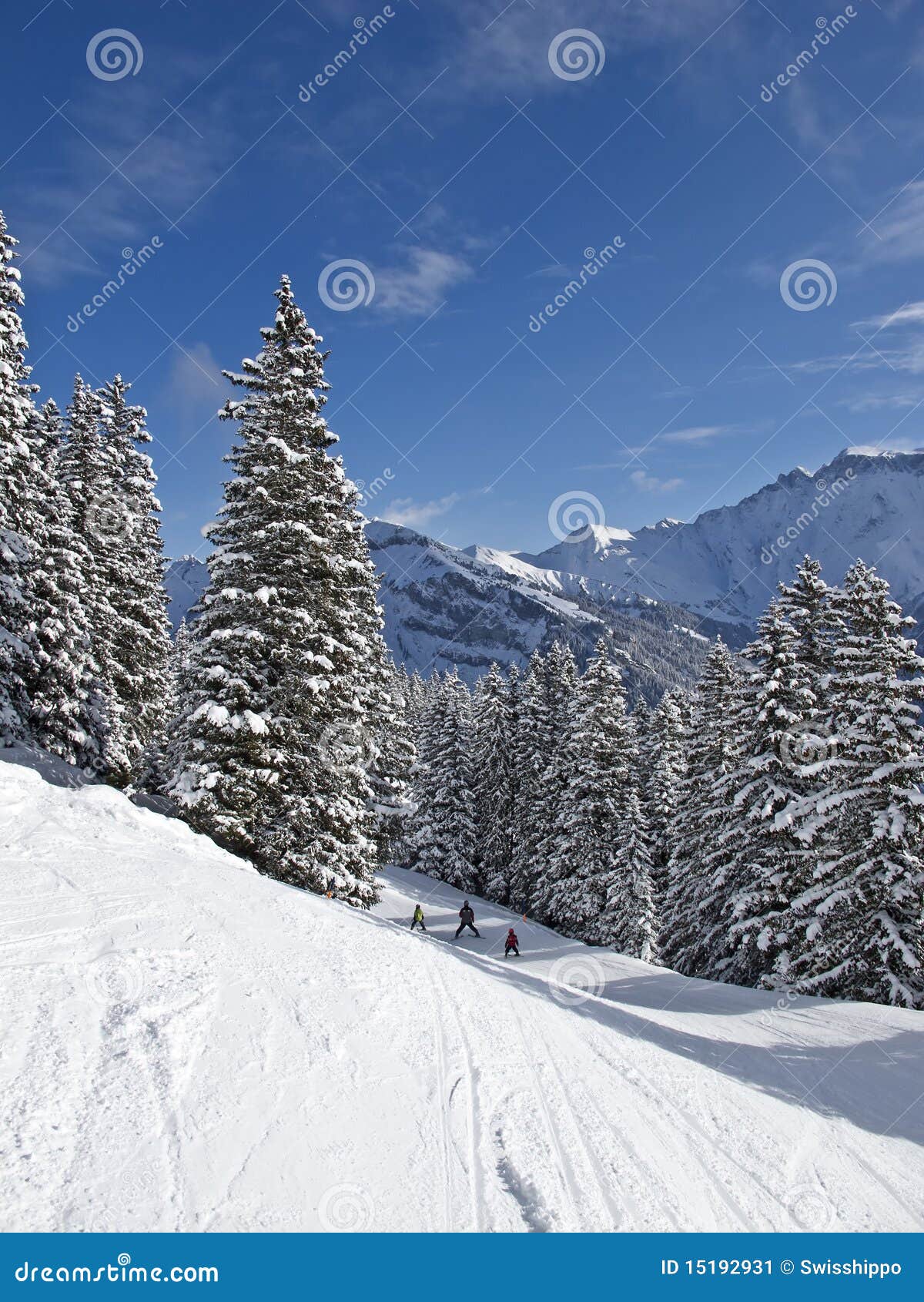 Skiing slope stock image. Image of powder, nature, peace - 15192931