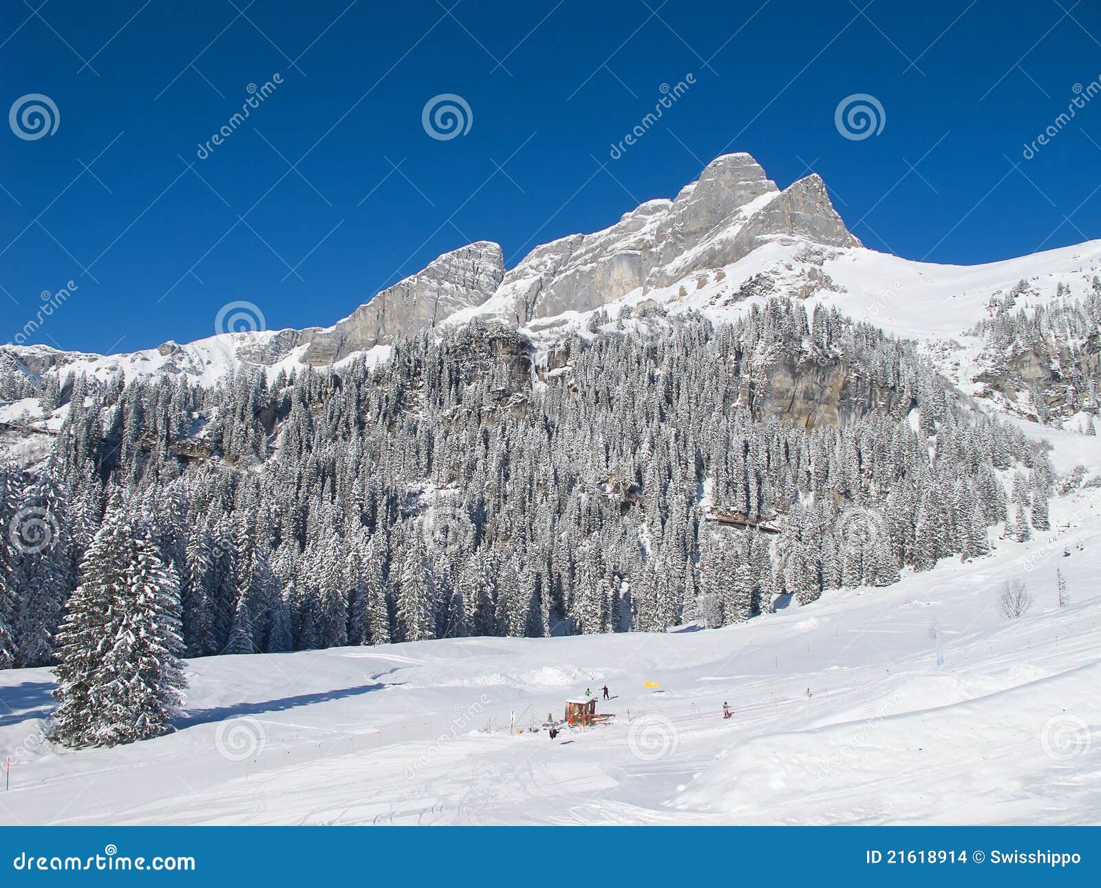 Skiing slope stock photo. Image of rest, resort, altitude - 21618914