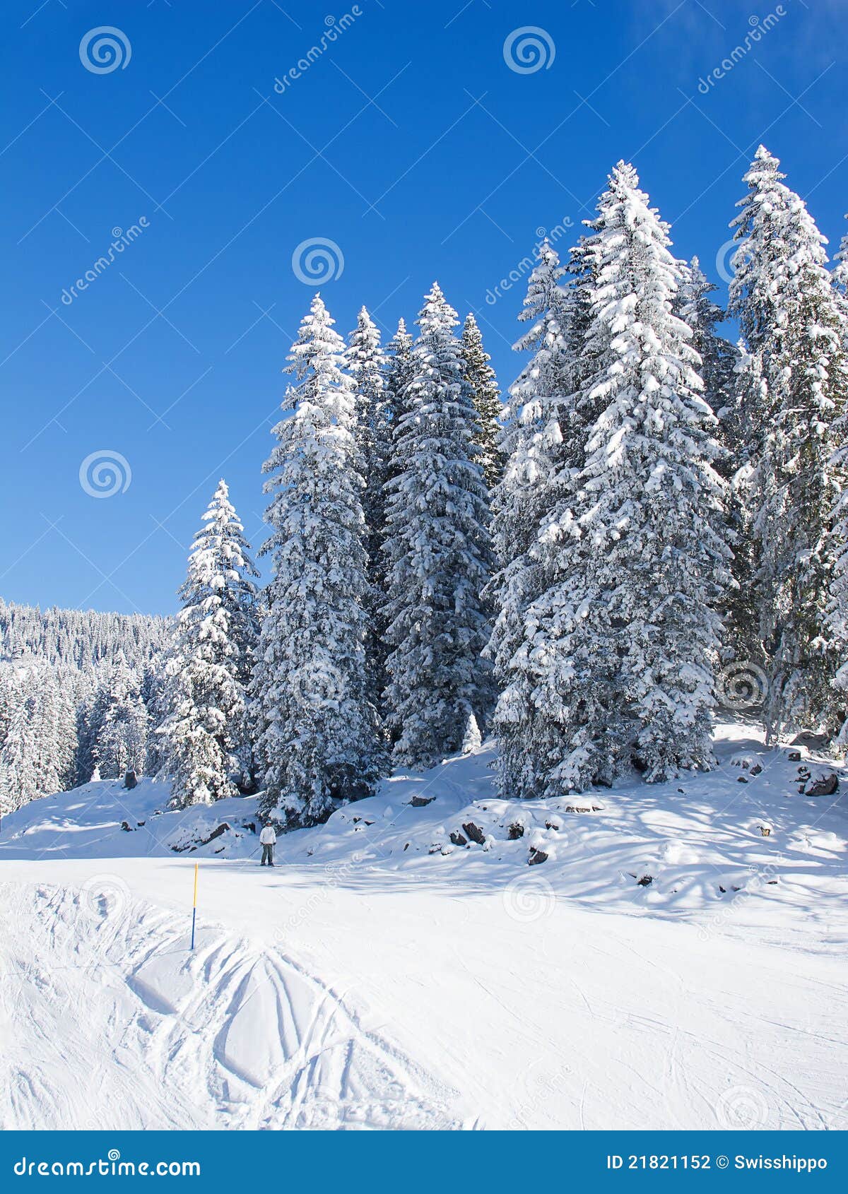 Skiing slope stock photo. Image of season, journey, frozen - 21821152