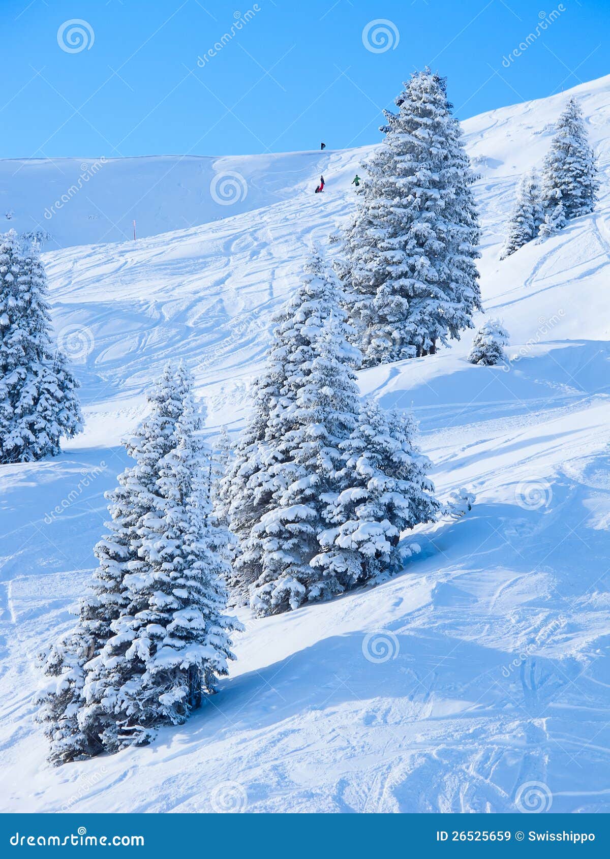 Skiing slope stock image. Image of europe, clean, alpine - 26525659
