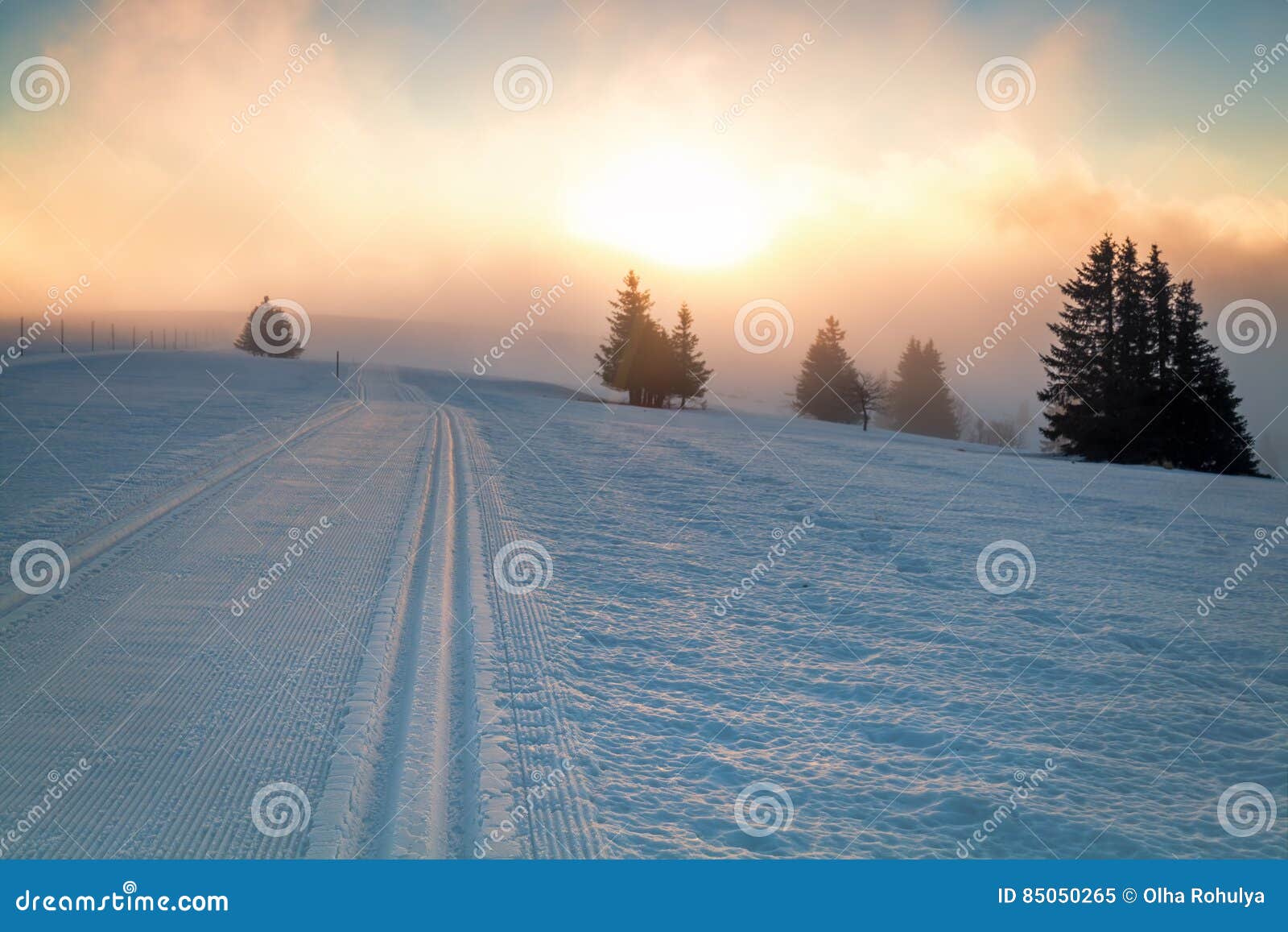 Skiing Snow Path and Sunlight Stock Image - Image of spruce, mountain ...