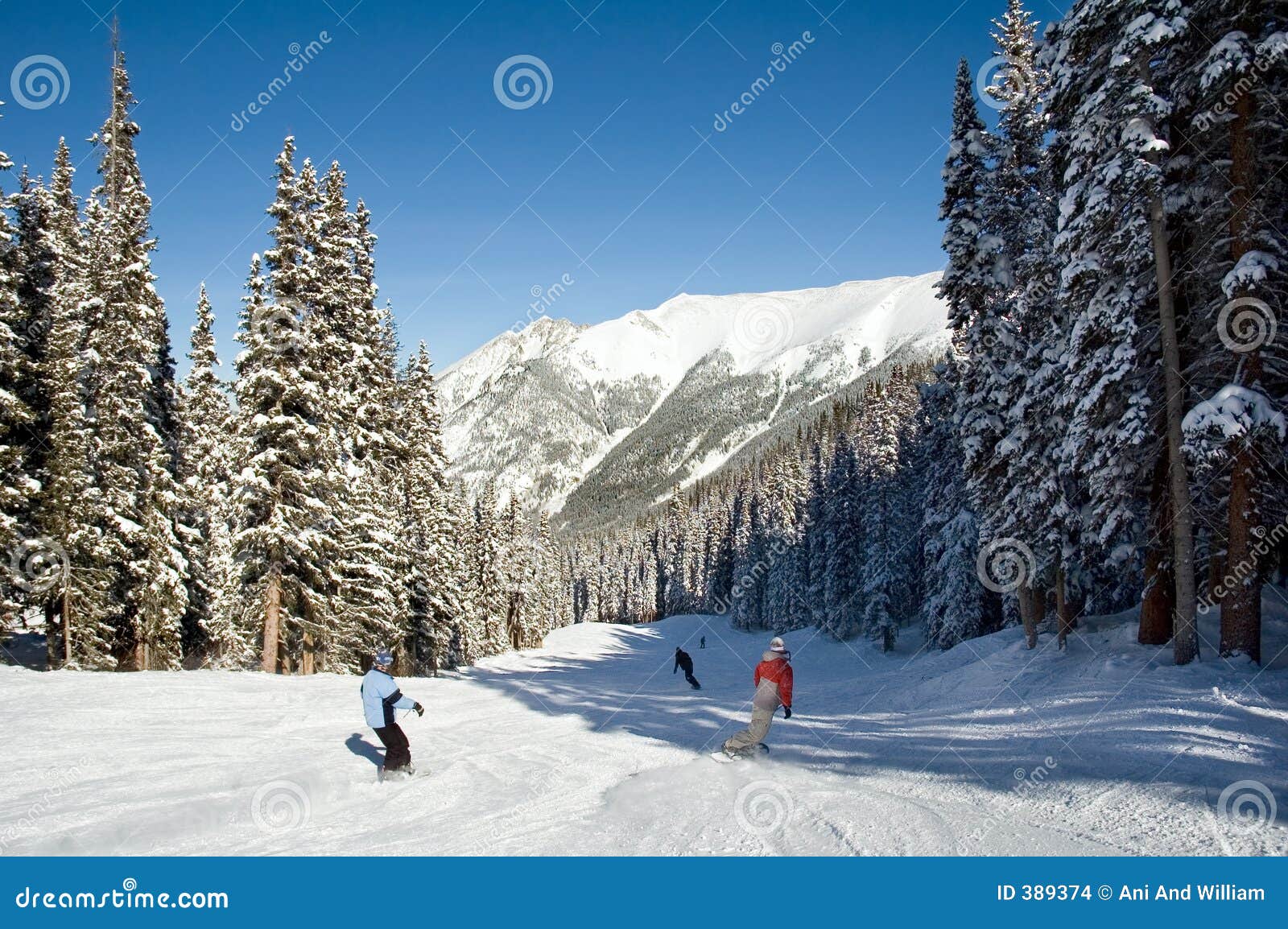 Skiing and Snowboarding on Mountain Slopes Stock Photo - Image of ...