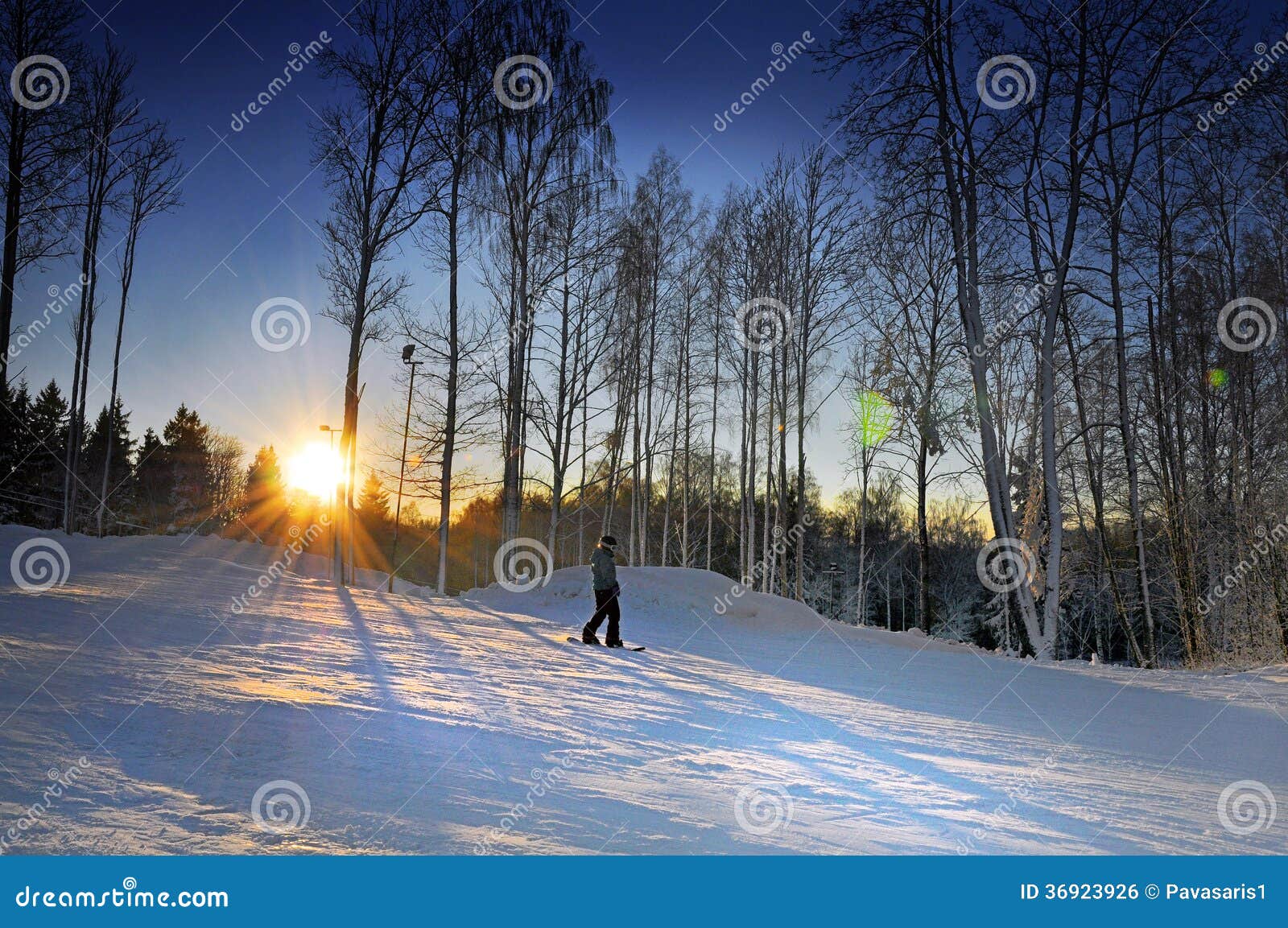 Skiing at sunset stock photo. Image of nature, wood, cool - 36923926