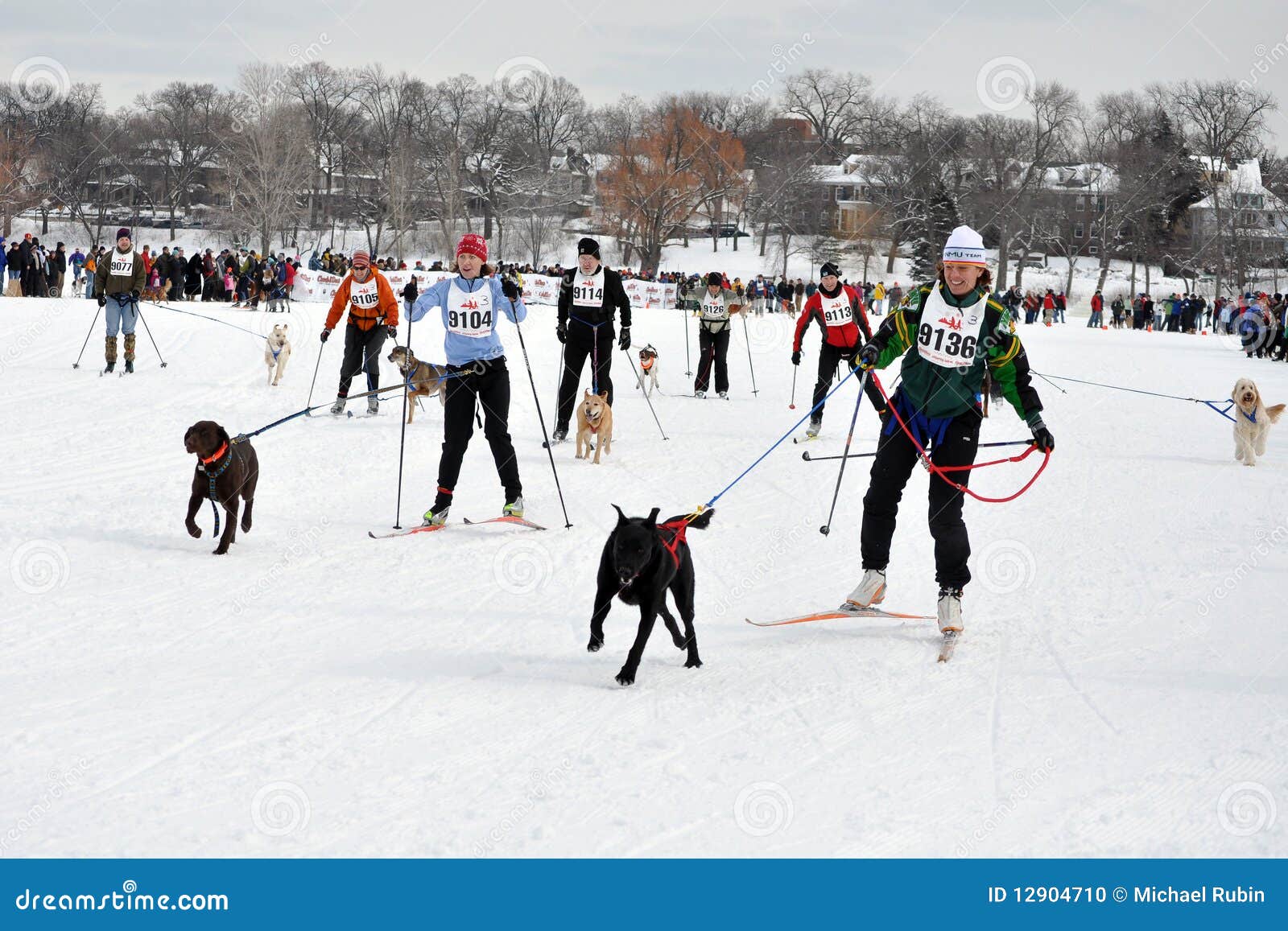 Skijor Loppet imagem editorial. Imagem de minneapolis - 12904710