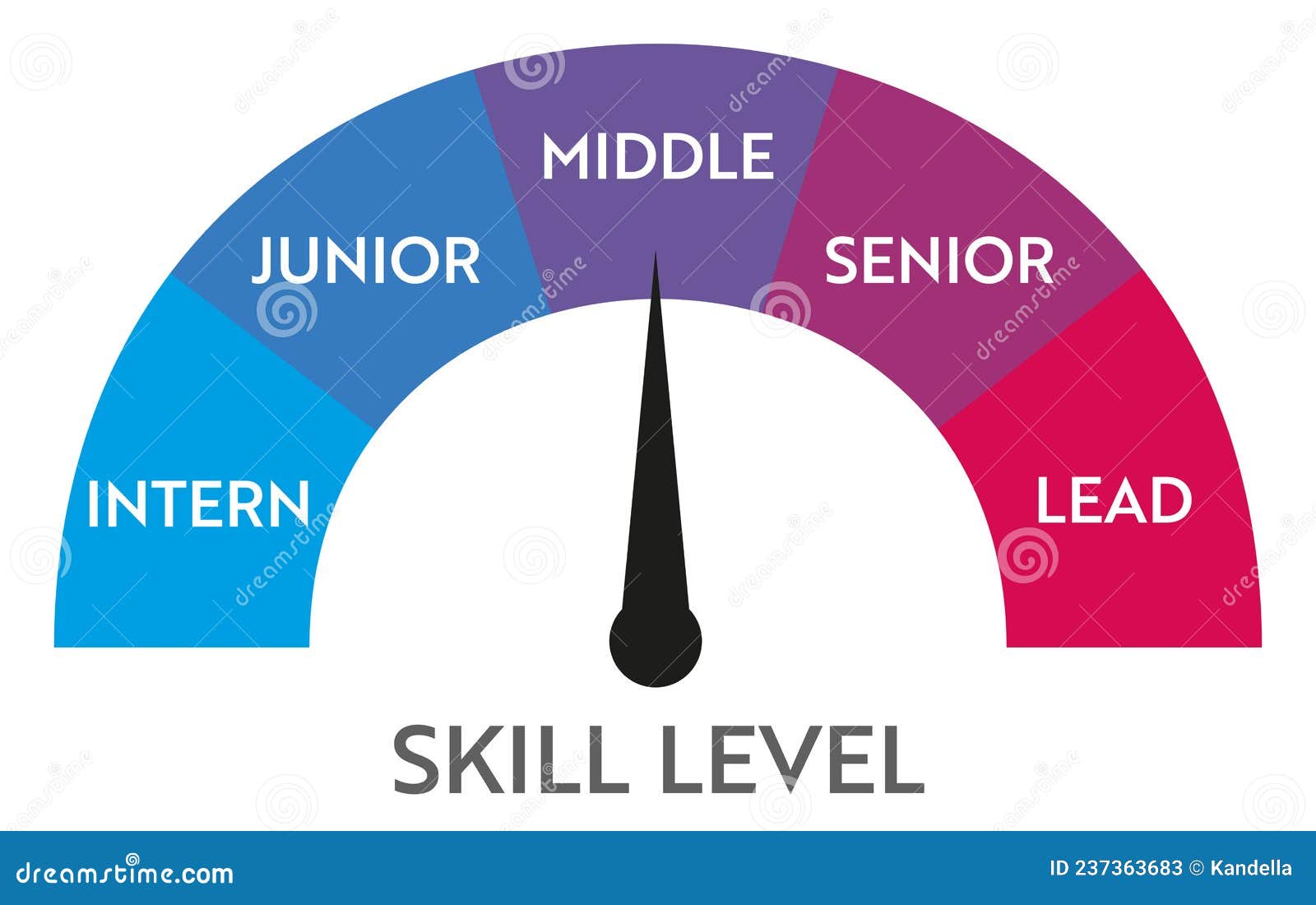Skill Level Meter Indicator. Stock Vector - Illustration of elite ...