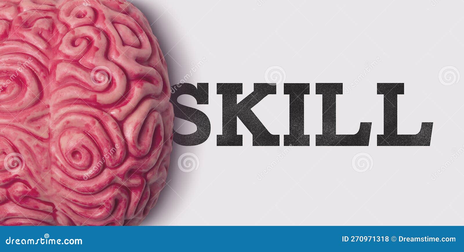 SKILL Word On The Wood Blocks Concept With Chart, Coins, Notebook And ...