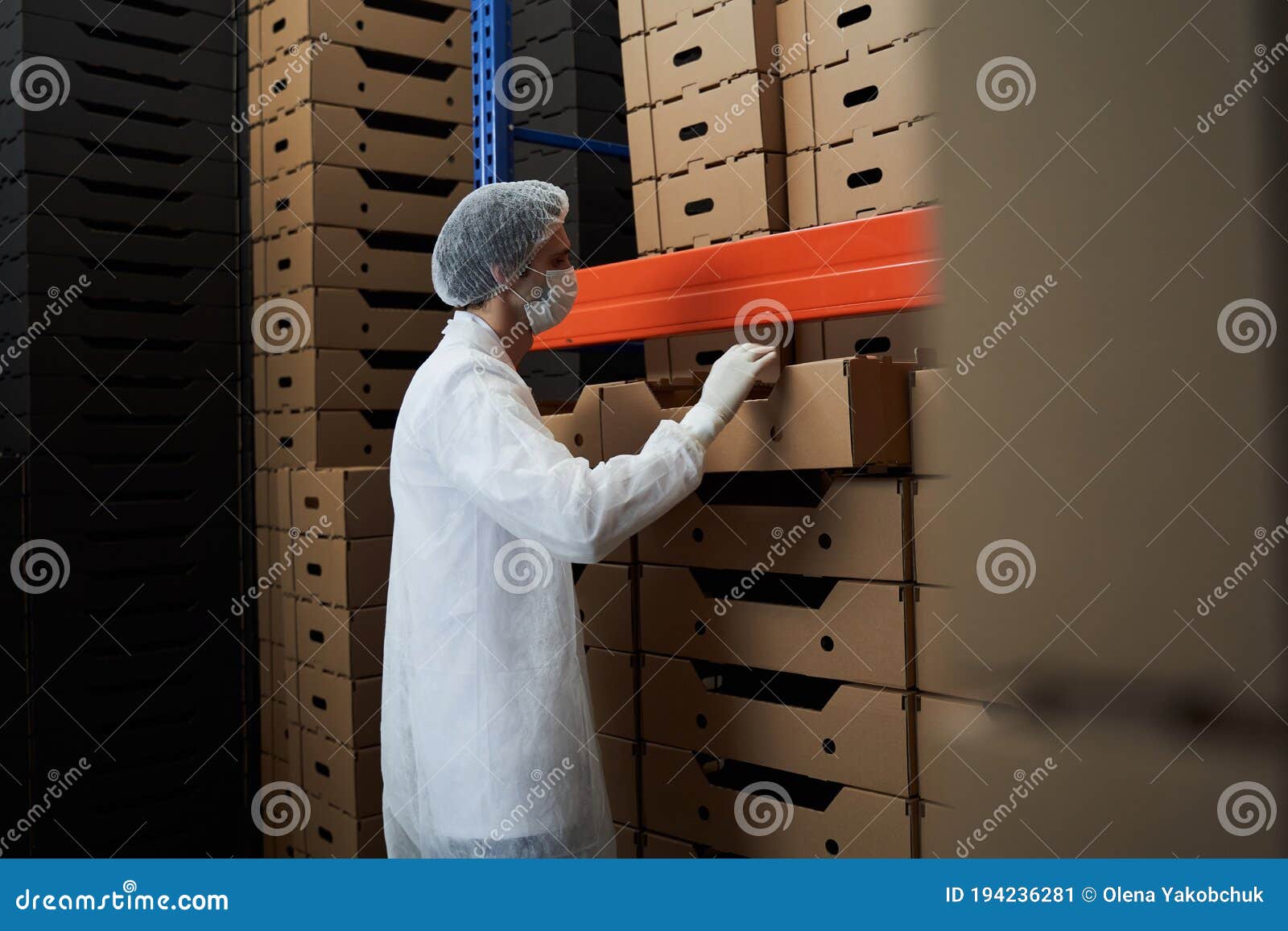 Skilled Caucasian Packer Working in a Warehouse Stock Image - Image of ...