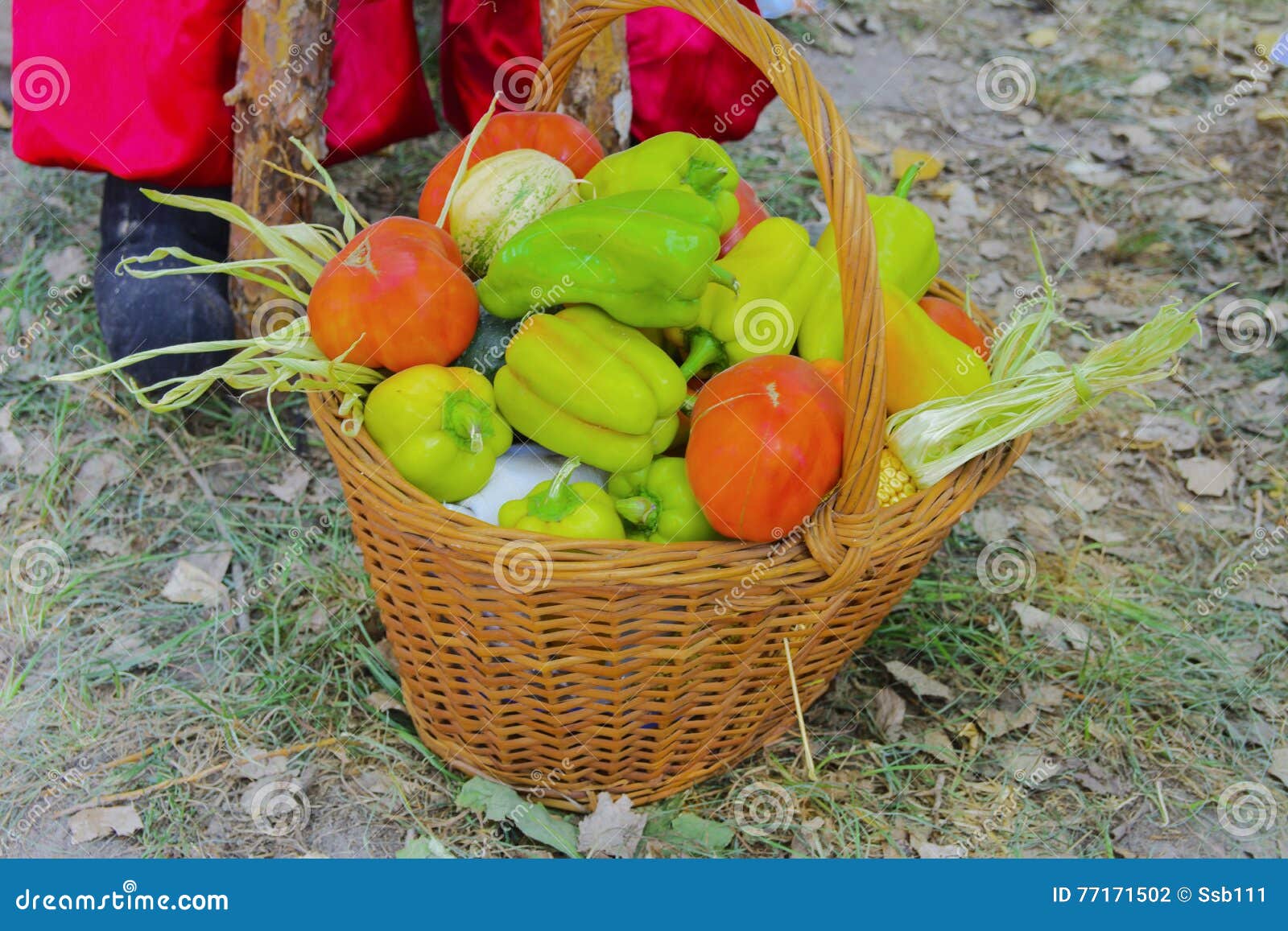 Skilled Handicrafts. Fruits and Vegetables Stock Photo - Image of clay ...