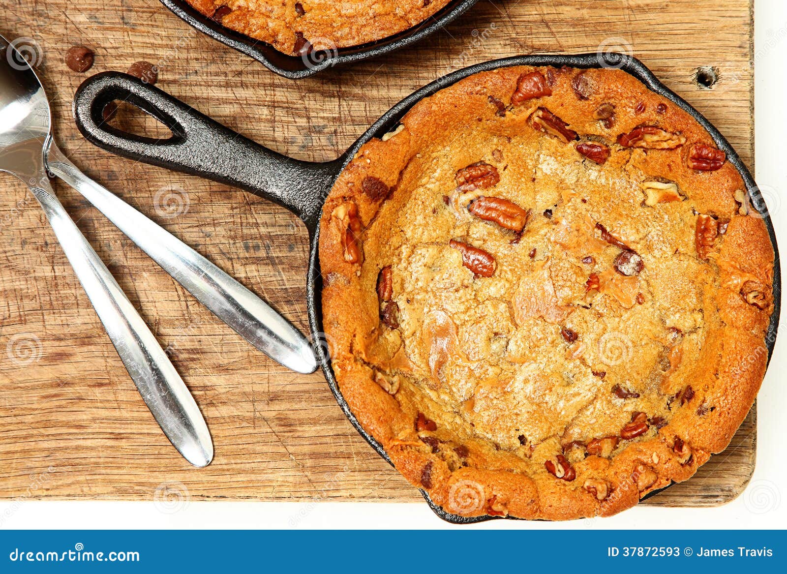 Frozen Turtle Stock Photos - Free & Royalty-Free Stock Photos from ...