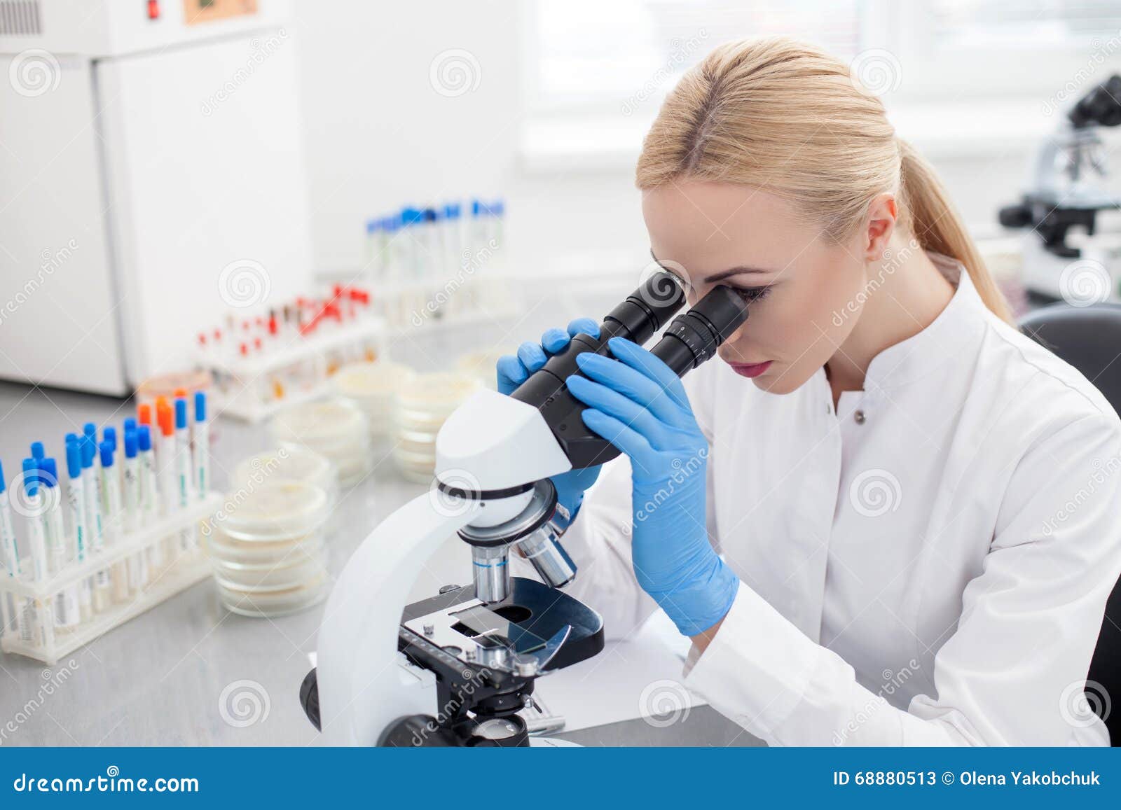 Skillful Female Researcher is Using Modern Equipment Stock Image ...