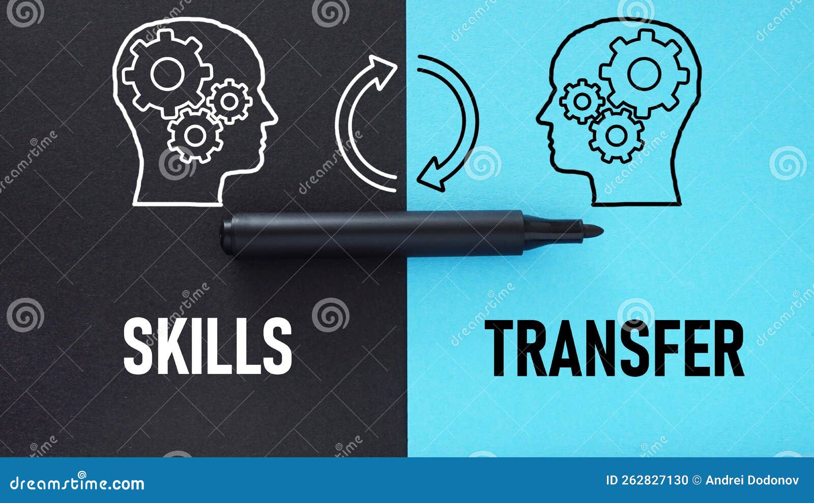 Skills Transfer is Shown Using the Text Stock Photo - Image of educate ...