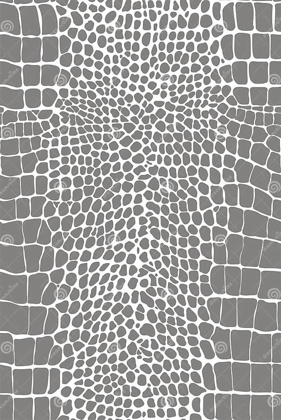 Skin stock vector. Illustration of crocodile, cliche - 23764381