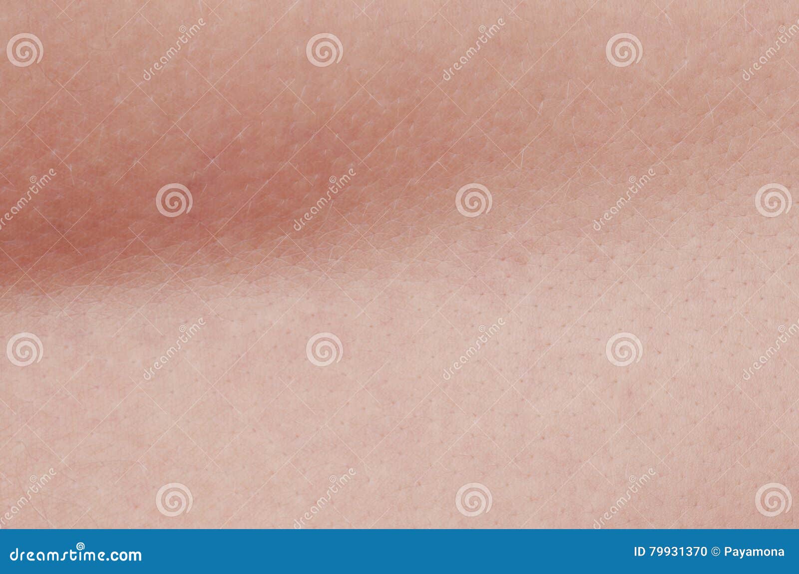 Skin of a Back of a Man. Abstract Shot. Stock Photo - Image of macro ...