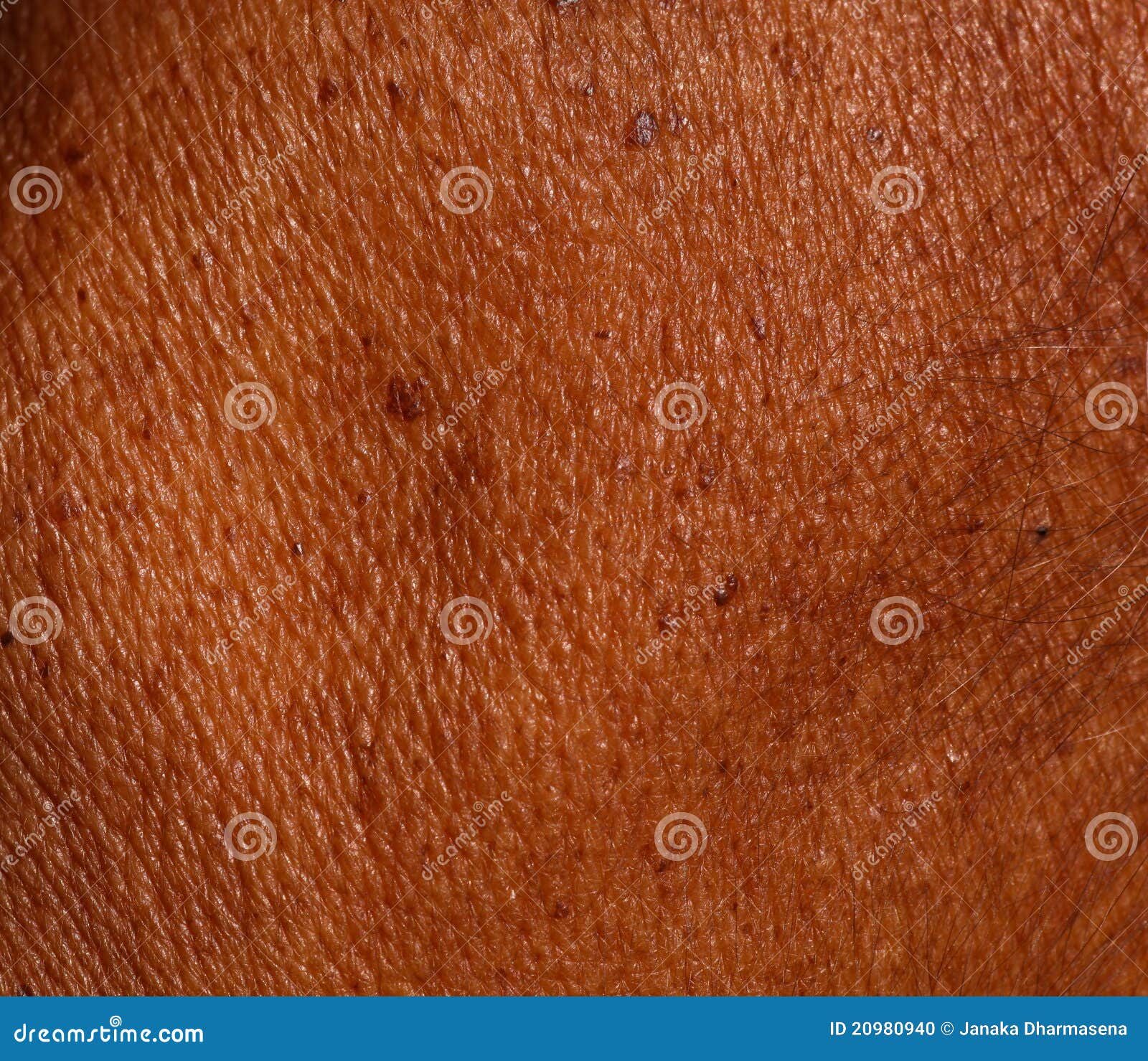 Skin Background. stock photo. Image of background, male - 20980940