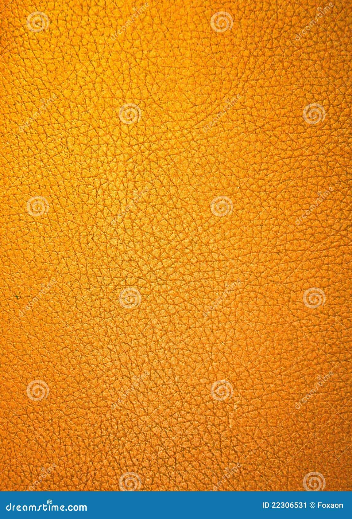 Skin background stock image. Image of skin, clean, background - 22306531