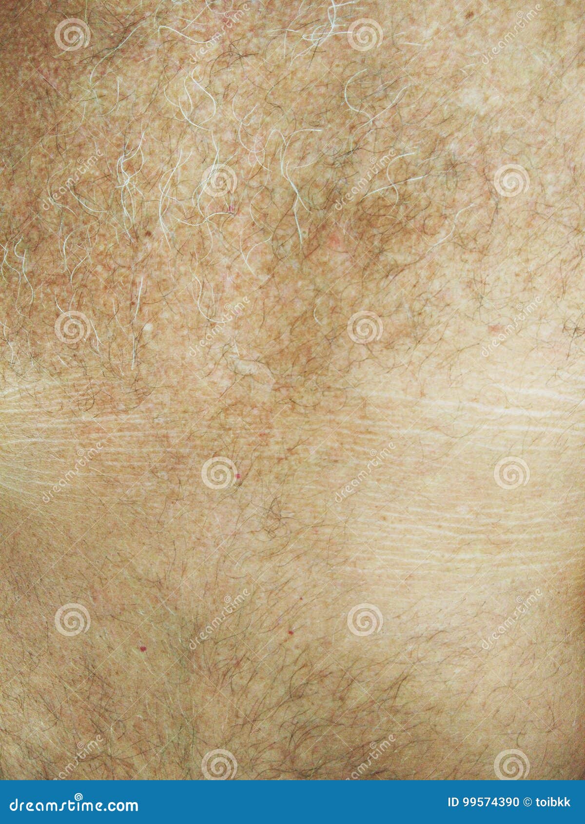 Skin and body hairs stock photo. Image of skin, body - 99574390