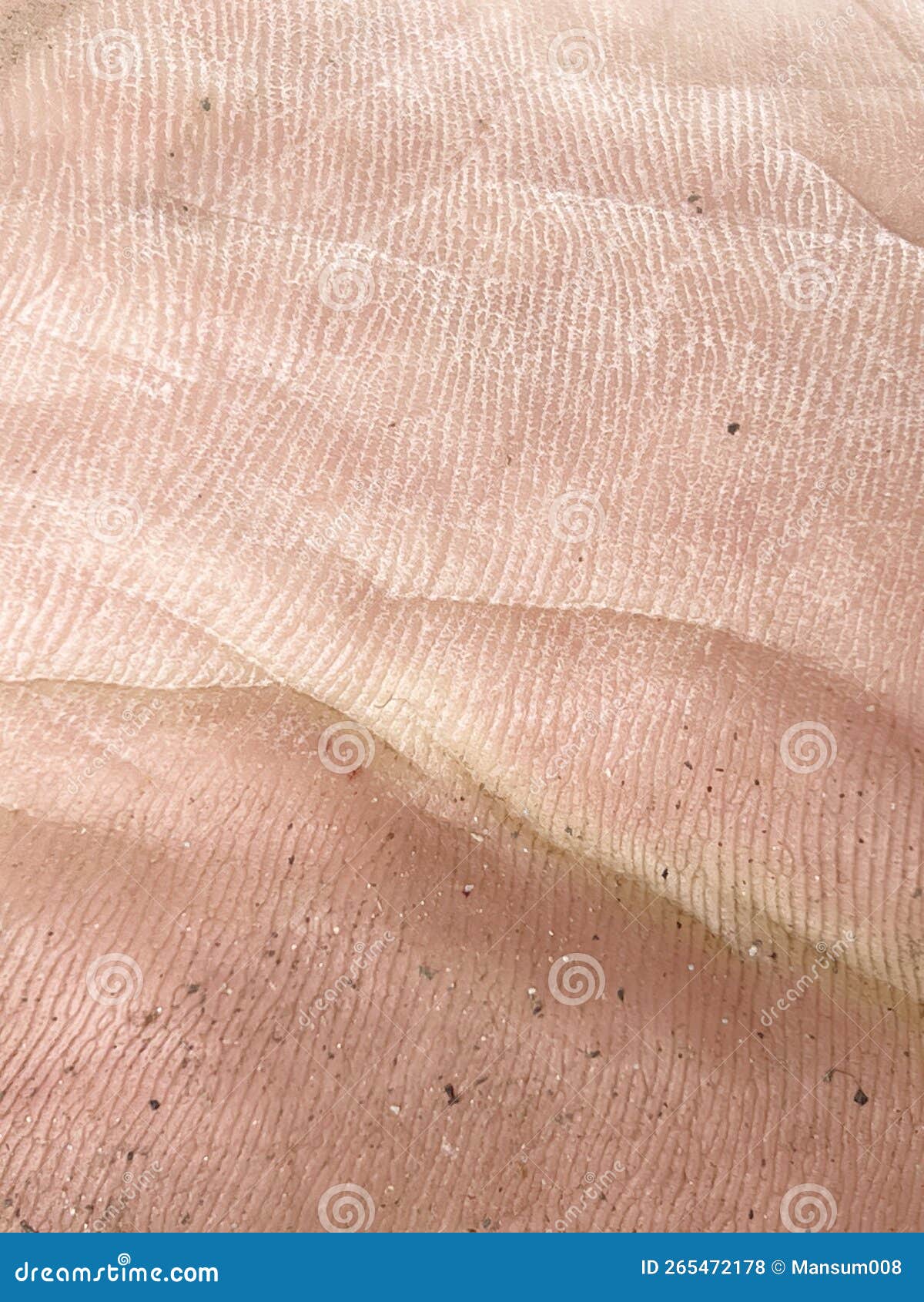 Skin body texture stock photo. Image of care, pattern - 265472178