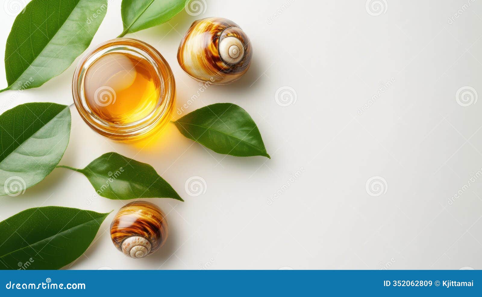 Snail Mucin Extracted Molecule for Skin Care Serum Cream Stock ...