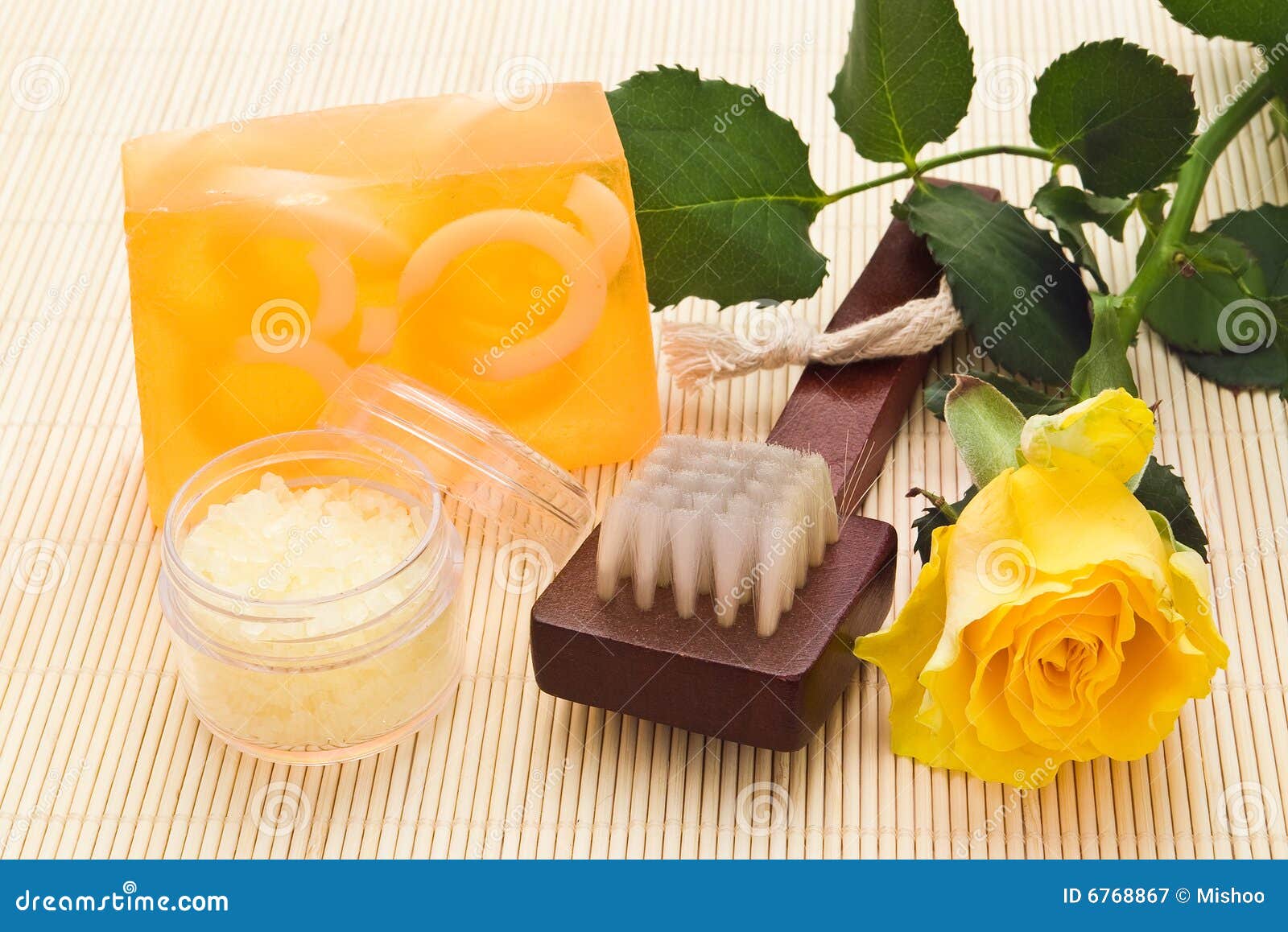 Skin care objects stock image. Image of branch, luxury - 6768867