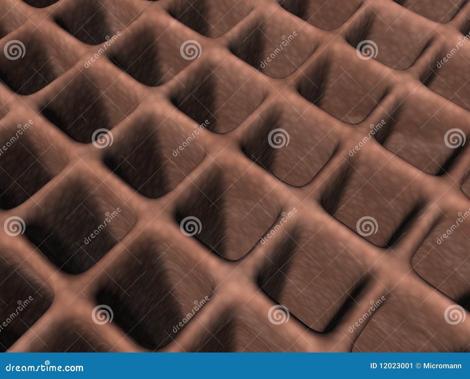 Skin Cells And Structure Layers Of Epidermis Cartoon Vector ...