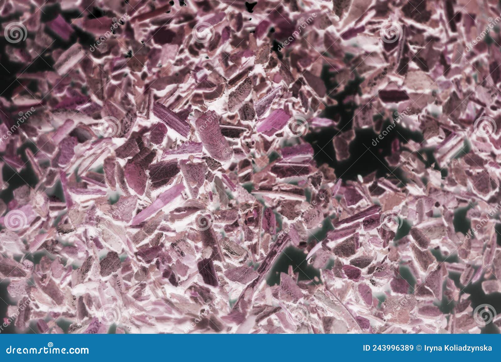 Skin Cells Under A Microscope