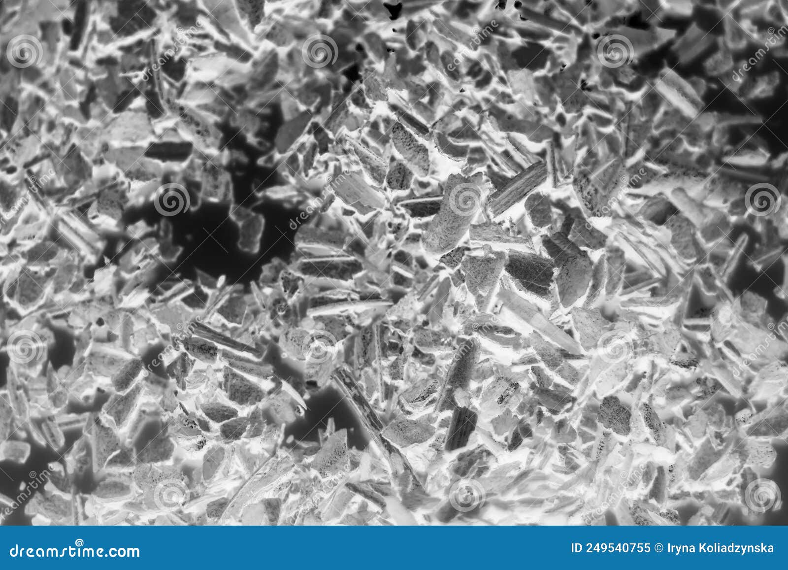 Skin Cells Under a Microscope Stock Image - Image of leaf, biology ...